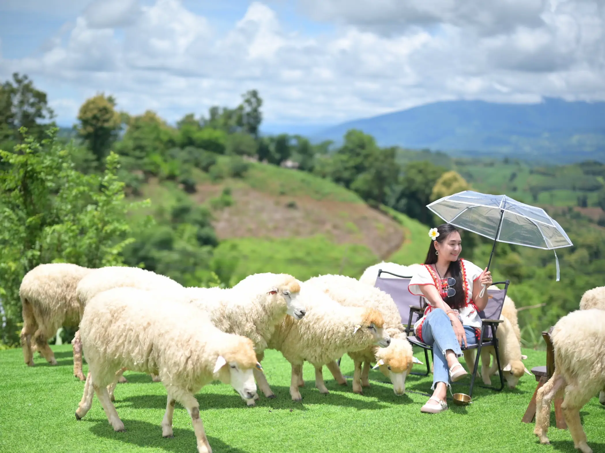 ไร่ปางแกะ at กิ่วม่วง - Rai Pang Kae Farm Nan | แกลเลอรีที่โพสต์โดย วัน ...