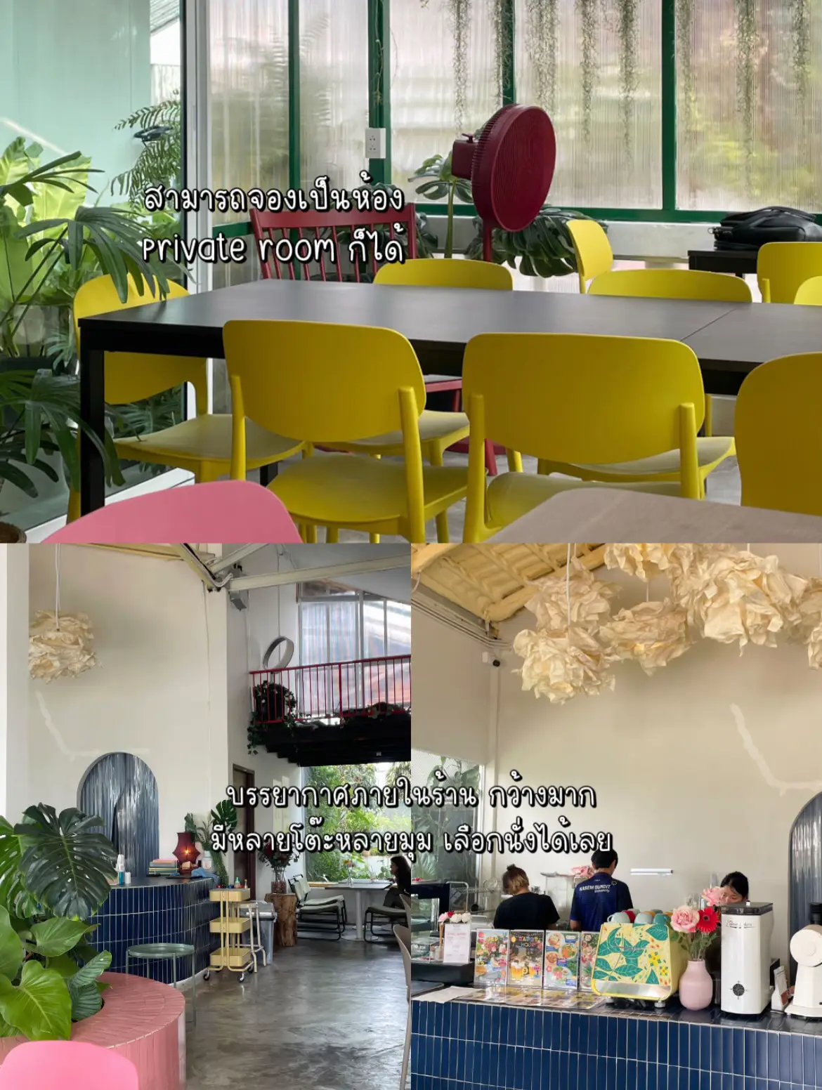 คาเฟ่ดอกไม้ย่านงามวงศ์วาน🌼🌷💐 | แกลเลอรีที่โพสต์โดย WeGoWhere | Lemon8