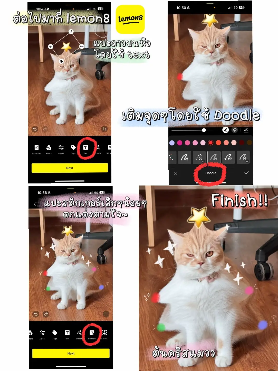 สอนแต่งรูปแมวเป็นต้นคริสแมวกั๊นน👀🌟🎄 | แกลเลอรีที่โพสต์โดย spray | Lemon8