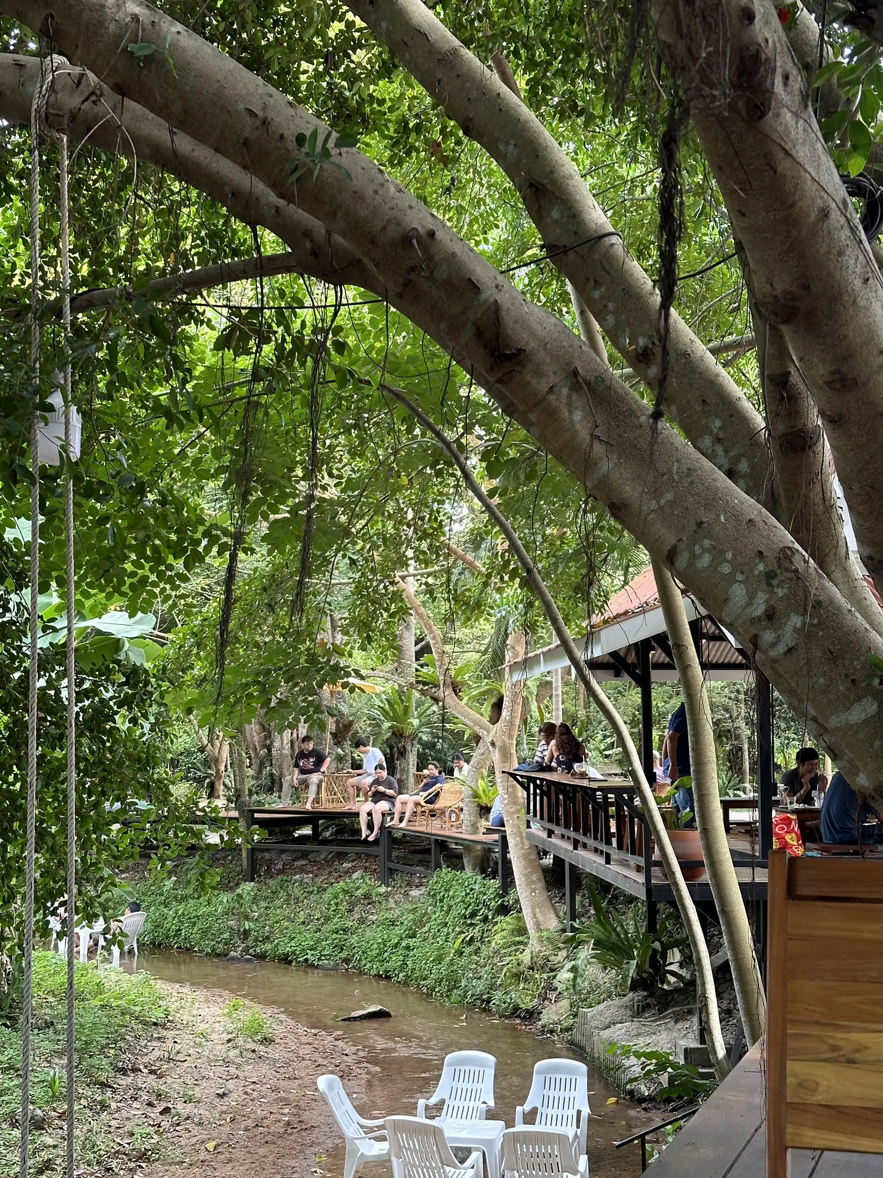 BAYON Thasai คาเฟ่ติดลำธารสุดฮีลลใจ ⛰️ | แกลเลอรีที่โพสต์โดย 🌻🅕🅐🅡🅜 🅢🅤🅚 ...