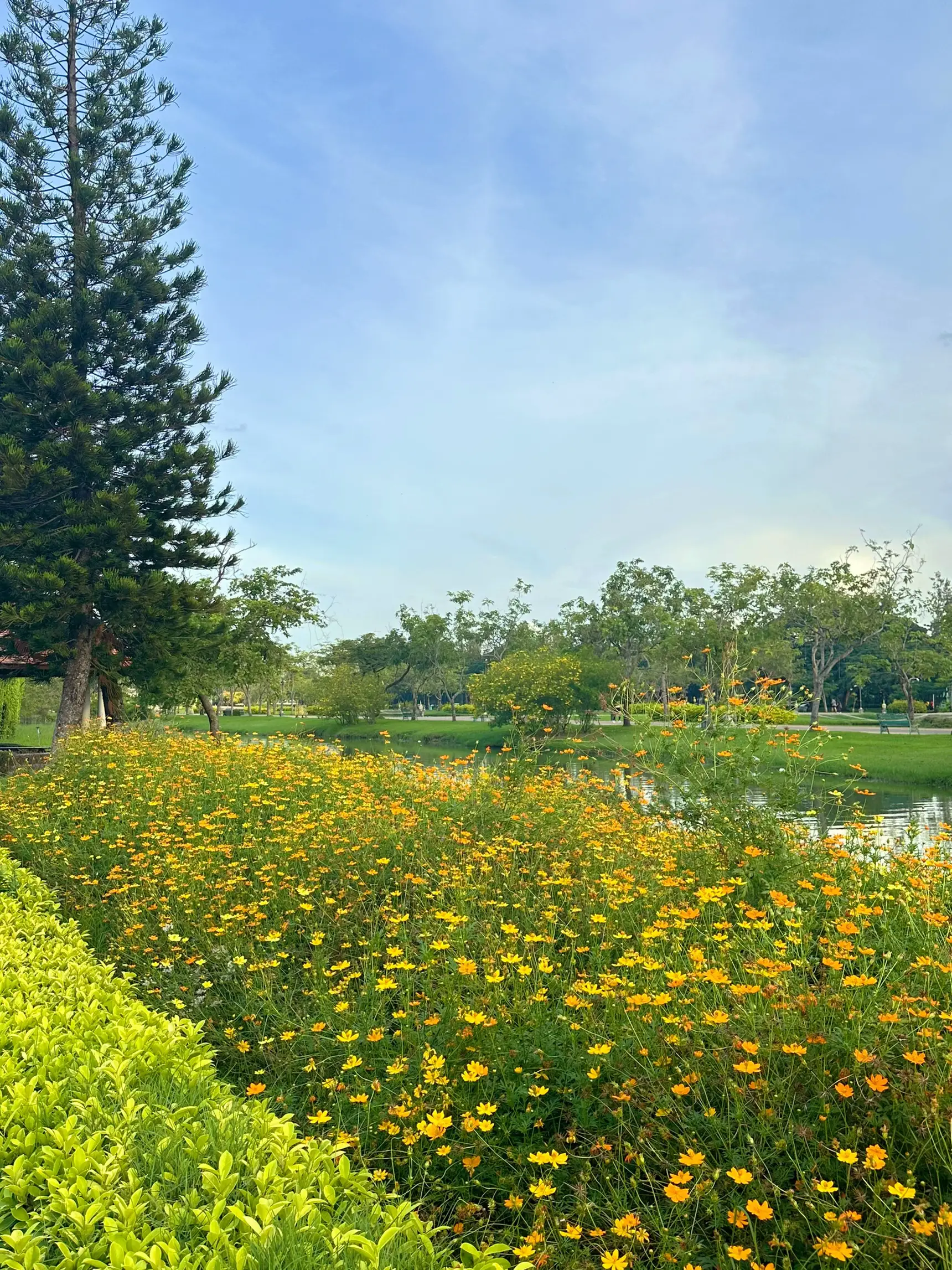 🪿 🥽 กิจกรรมวันหยุด สวนหลวง ร.9 EP.2 🌳 | แกลเลอรีที่โพสต์โดย 𝐦𝐚𝐲. | Lemon8