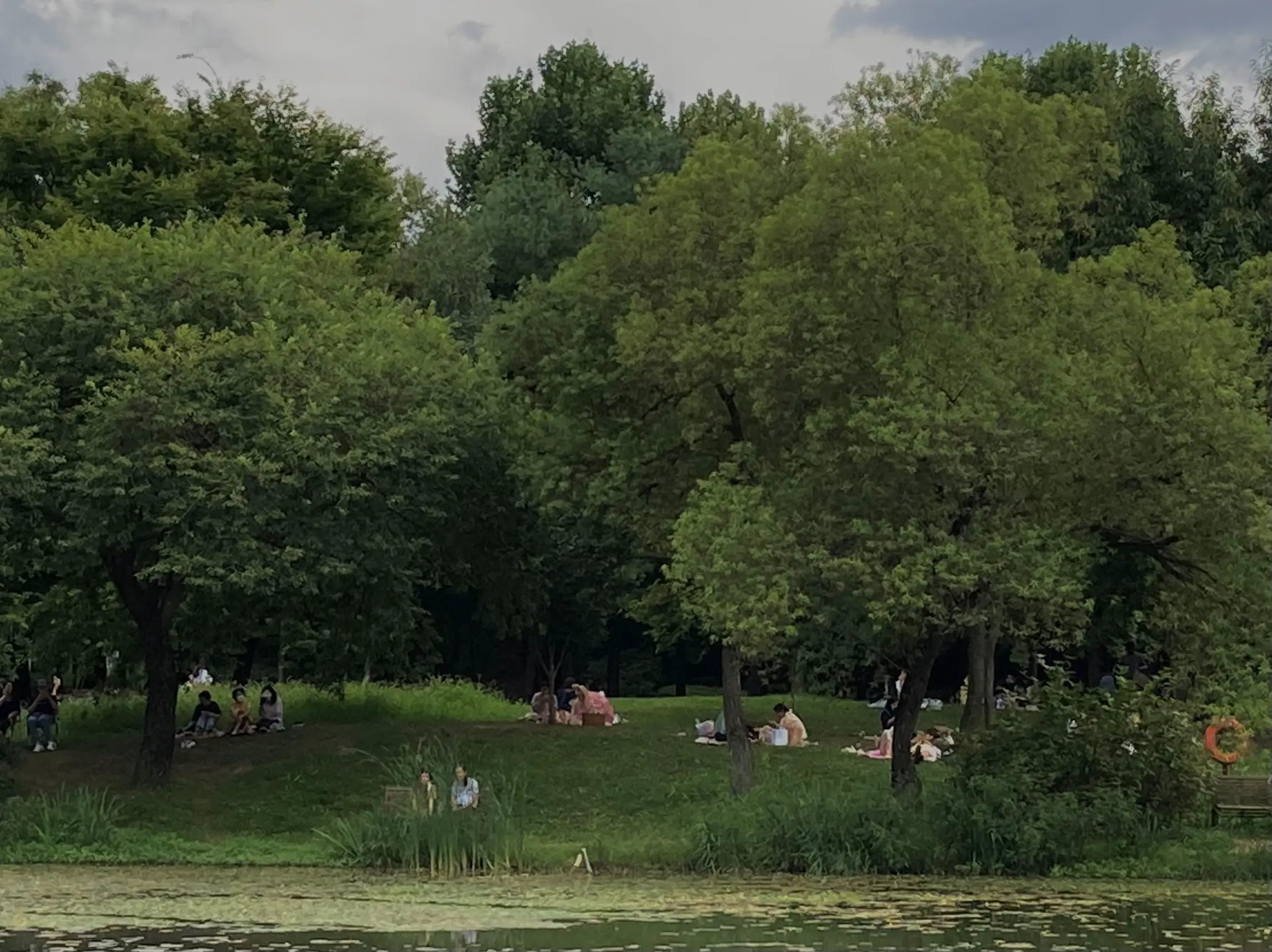 Grafolio Wallpaper - การค้นหาใน Lemon8