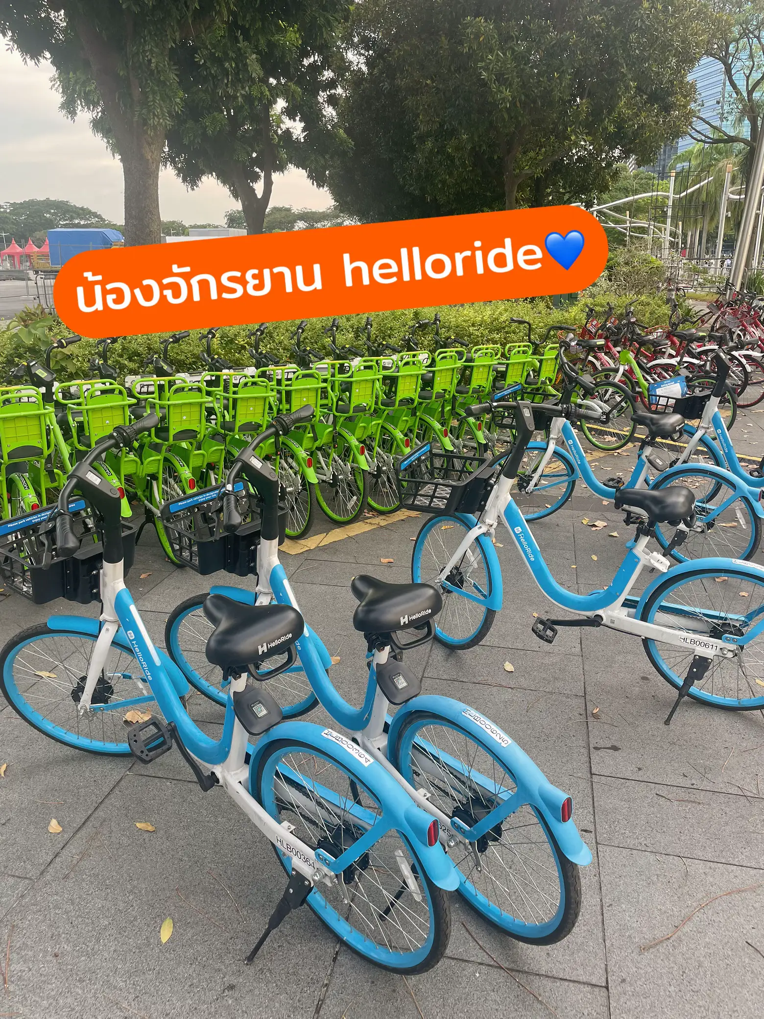 รีวิว how to เช่าจักรยานขี่เที่ยวสิงคโปร์ โพสต์เดียวจบ! 🚲🇸🇬 | แกลเลอรีที่โพสต์โดย wonder.wonder ...
