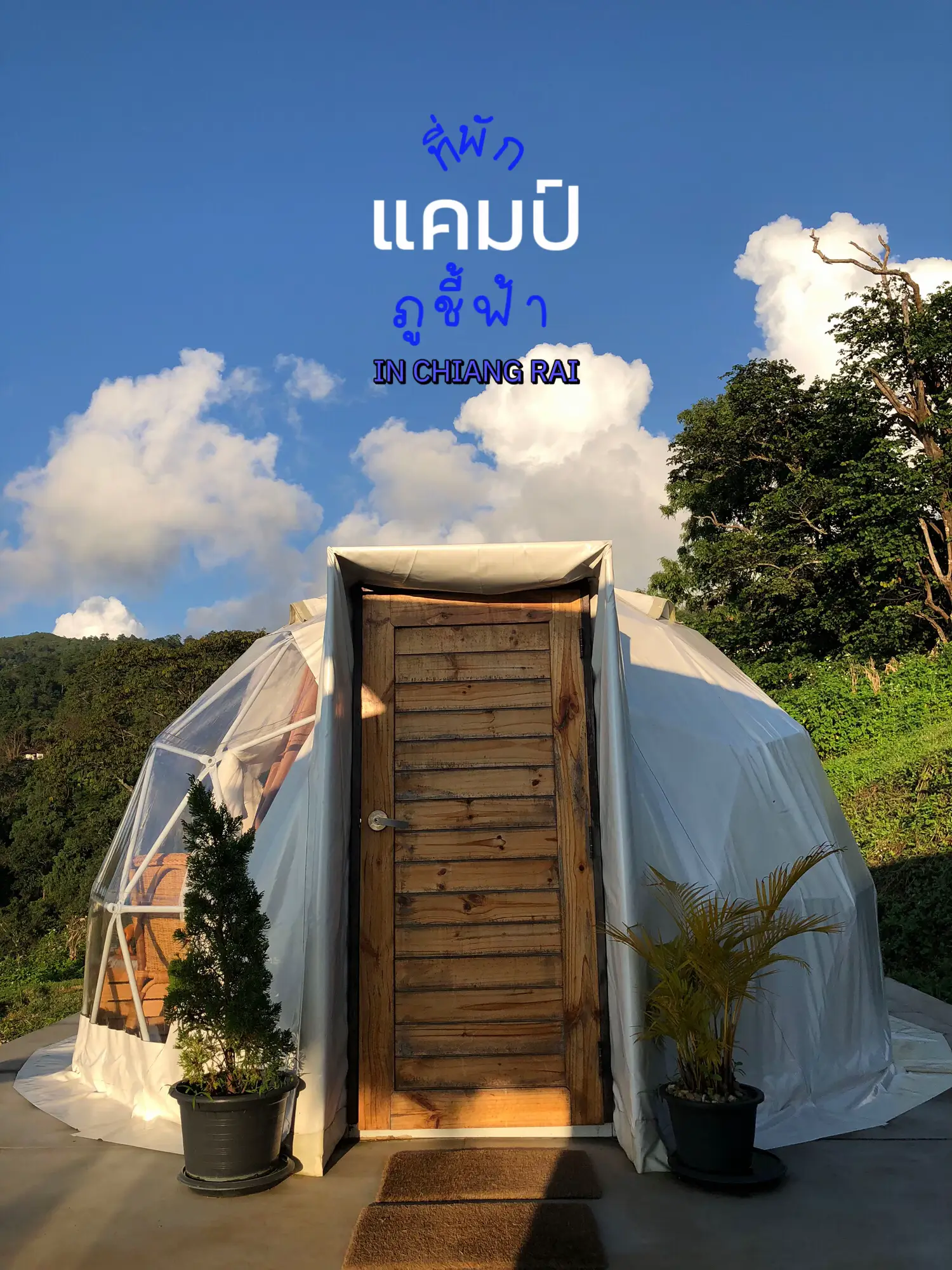 ที่พักโดม สุดฟิน แคมป์ภูชี้ฟ้า | แกลเลอรีที่โพสต์โดย _PueN_ | Lemon8