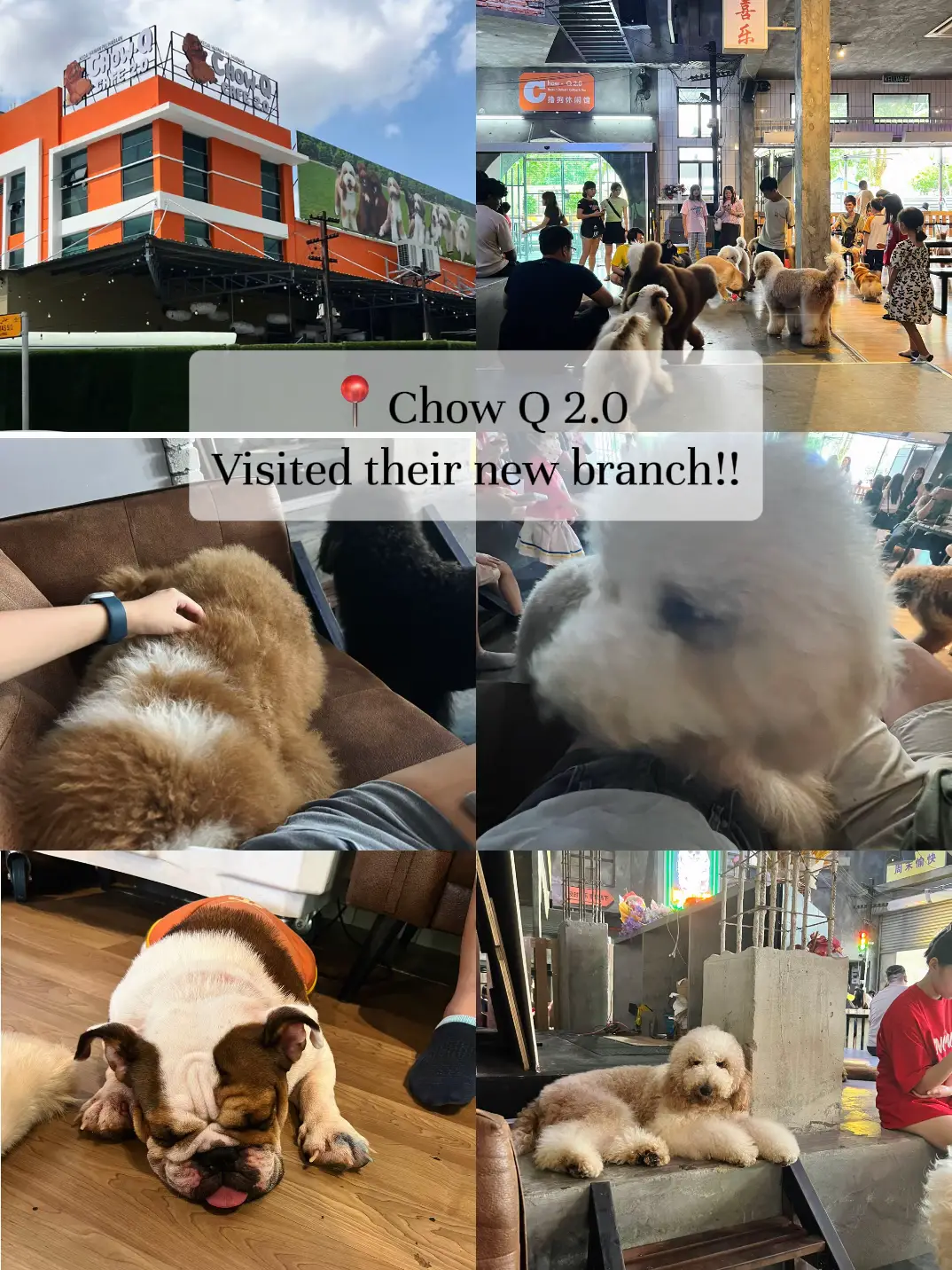 MOUNT AUSTIN FOR A DAY (+ 1 night!) FOR $60 | Gallery posted by dawen 🐻 ...