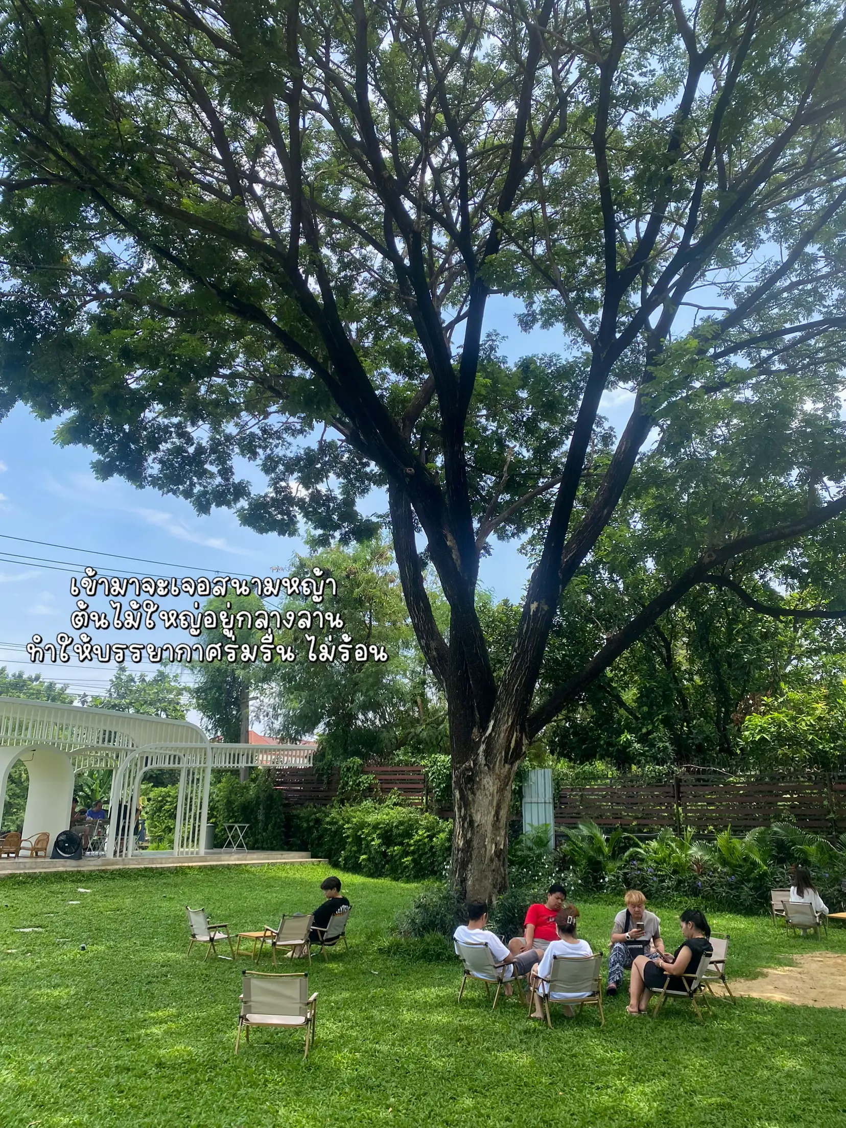 คาเฟ่ที่ให้ความรู้สึก เหมือนมาบ้านเพื่อน 👵🏻💖 | แกลเลอรีที่โพสต์โดย nudh ...