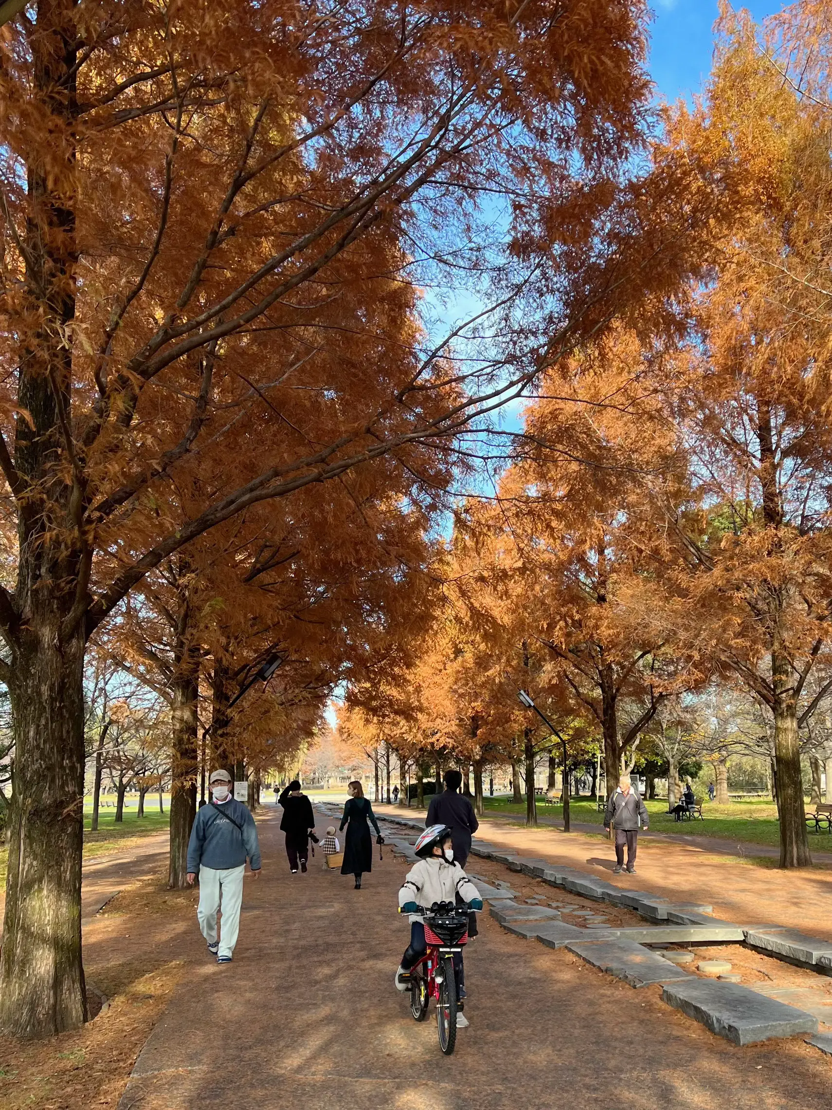 กิจกรรมสายชิลปิคนิคสวนในญี่ปุ่น | Tonari park in Japan 🍂🍁🎌 | แกลเลอรีที่โพสต์โดย Tiwa | Lemon8