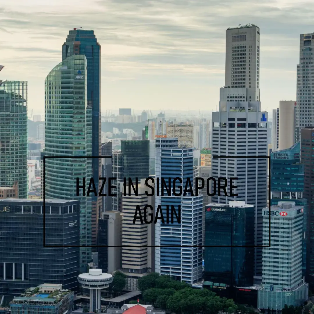 Haze & Glaze 2.0 | Gallery posted by Michael Ng | Lemon8