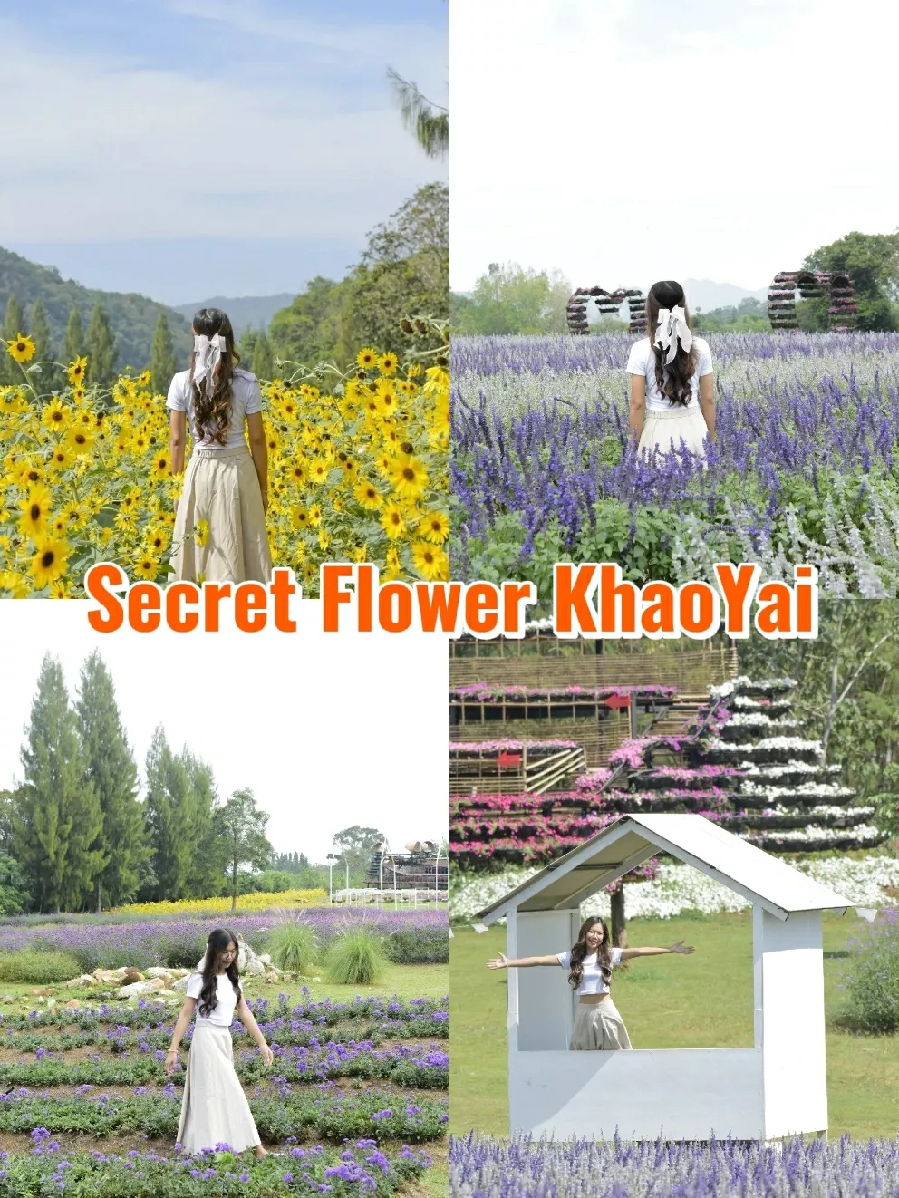 Secret Flower KhaoYai คาเฟ่ดอกไม้เขาใหญ่ | แกลเลอรีที่โพสต์โดย Ploy Kun | Lemon8