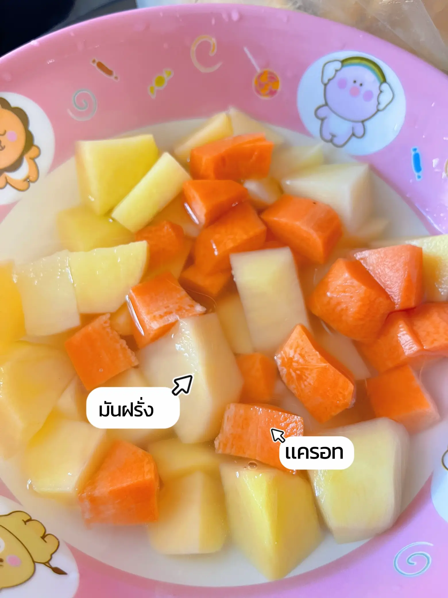 ไก่ตุ๋นซอสมะเขือเทศ | แกลเลอรีที่โพสต์โดย Paploy | Lemon8