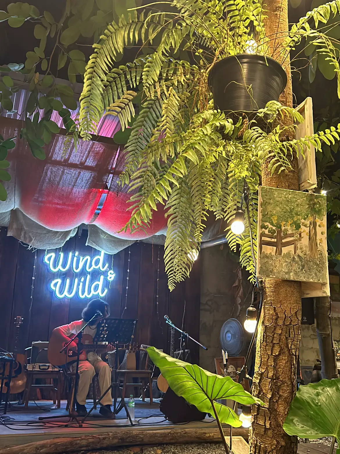 คาเฟ่(ไม่)ลับ กิจกรรมเพียบ👩‍🎨🎨 Wind&Wild | แกลเลอรีที่โพสต์โดย ปัถย์🦖 ...