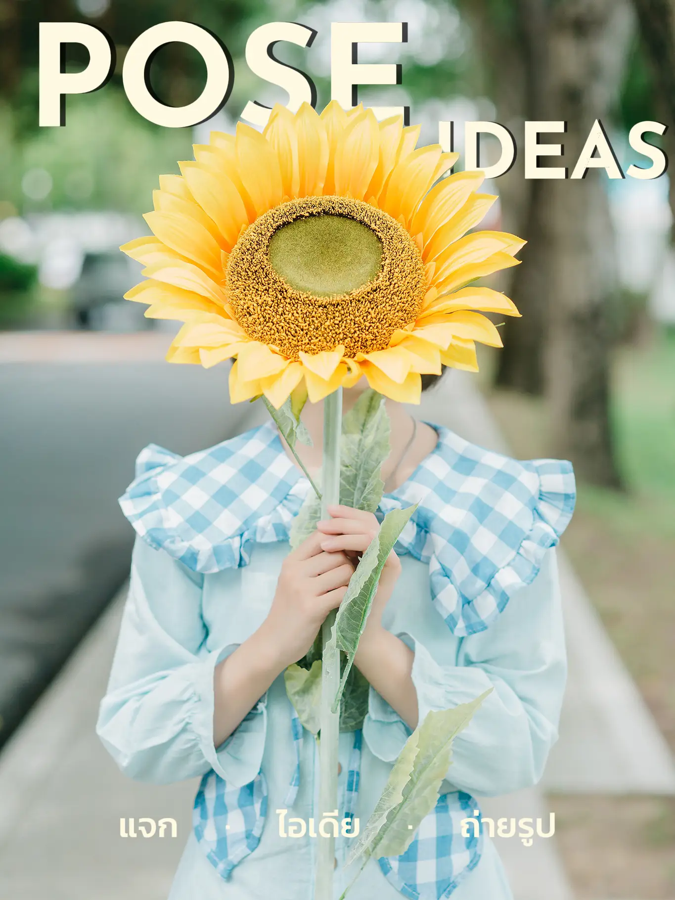 ท่าโพสกับทานตะวันยักษ์! 🌻 | แกลเลอรีที่โพสต์โดย Mookku Bubu 🍀 | Lemon8