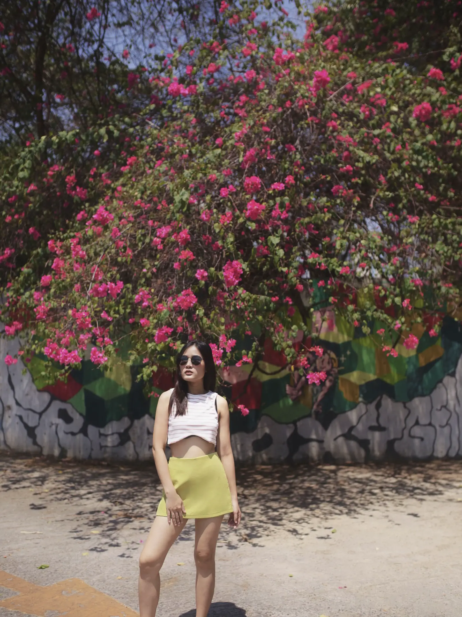 🌸CHIANGMAI มุมไม่ลับถ่ายกับดอกไม้🌸 | แกลเลอรีที่โพสต์โดย Khun.fai | Lemon8