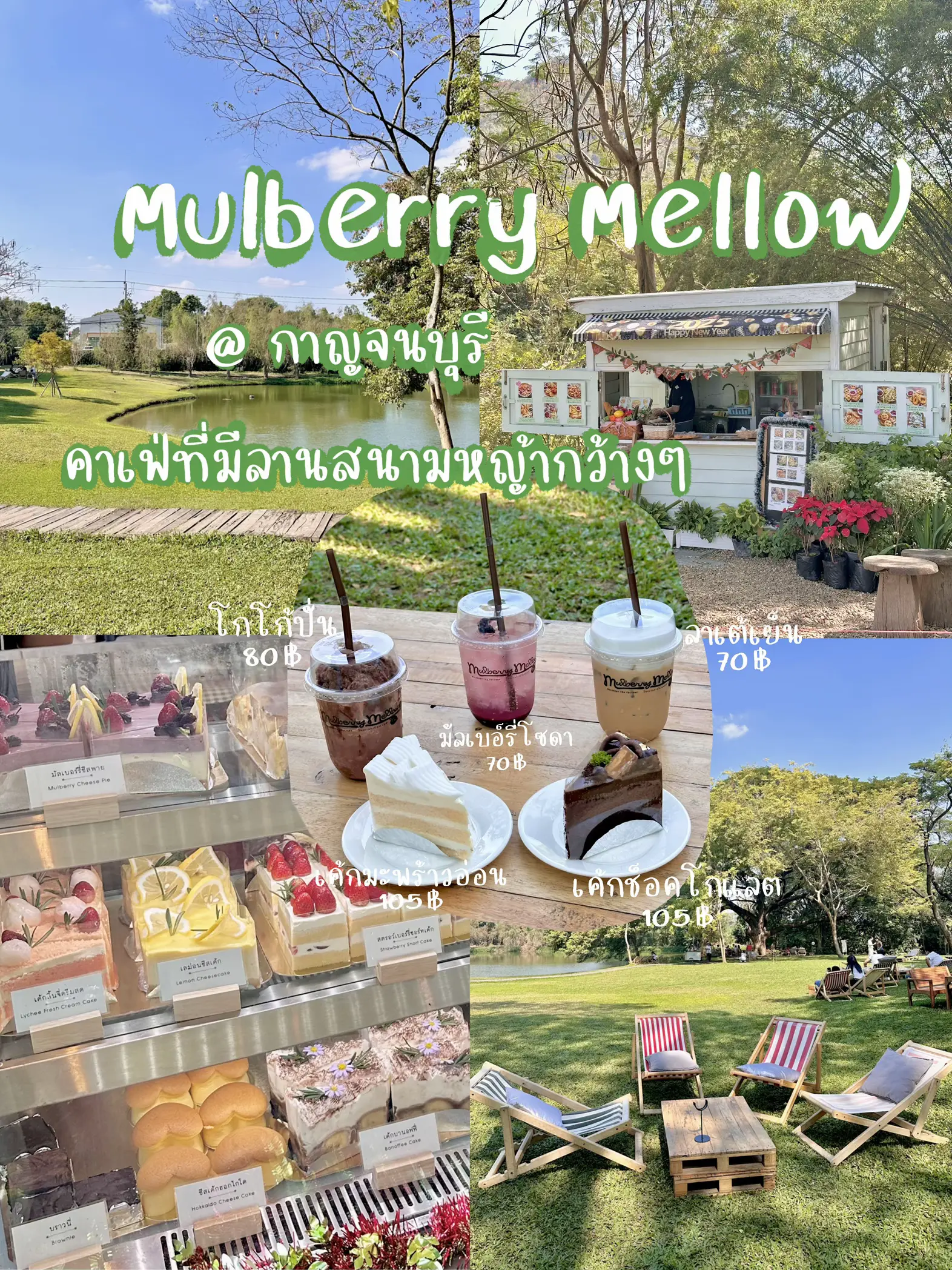 🍃🌳 Mulberry Mellow คาเฟ่ที่มีลานสนามหญ้ากว้างๆ☕️🌳🍃 | แกลเลอรีที่โพสต์ ...