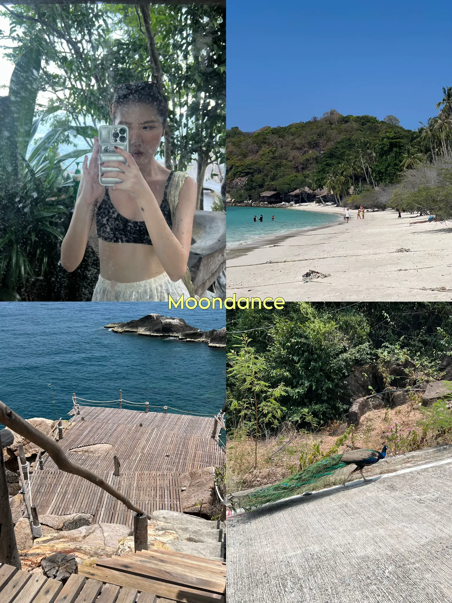 เที่ยวเกาะเต่า 4 วัน 3 คืน ทำอะไรบ้าง 🐚🪸🫧 | แกลเลอรีที่โพสต์โดย DARYN S | Lemon8