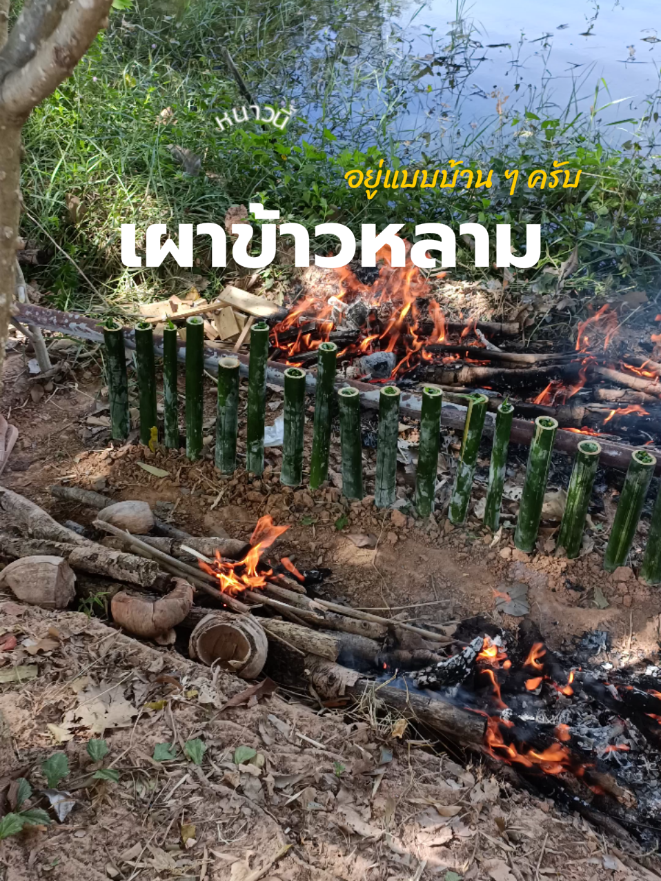 เผาข้าวหลาม กับบรรยากาศหนาวๆ | วิดีโอที่เผยแพร่โดย Wolf Carpentry | Lemon8