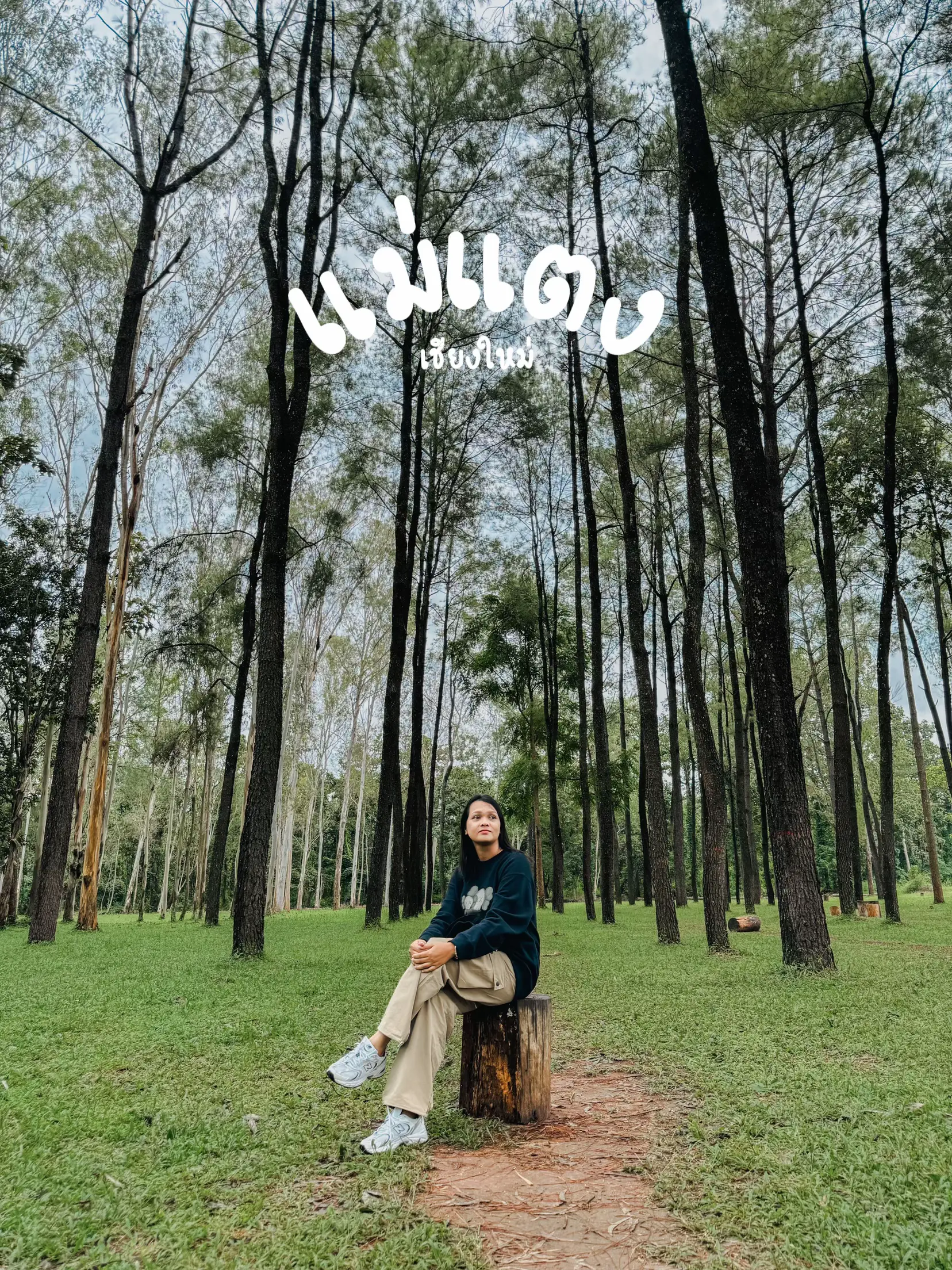 แม่แตง | แกลเลอรีที่โพสต์โดย Jiraporn 😁 | Lemon8