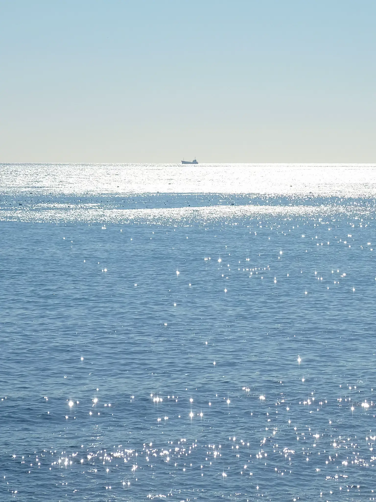 มีใครชอบวอลเปเปอร์น้ำทะเลบ้าง 🌊🫧 | แกลเลอรีที่โพสต์โดย Ham 🦦 | Lemon8