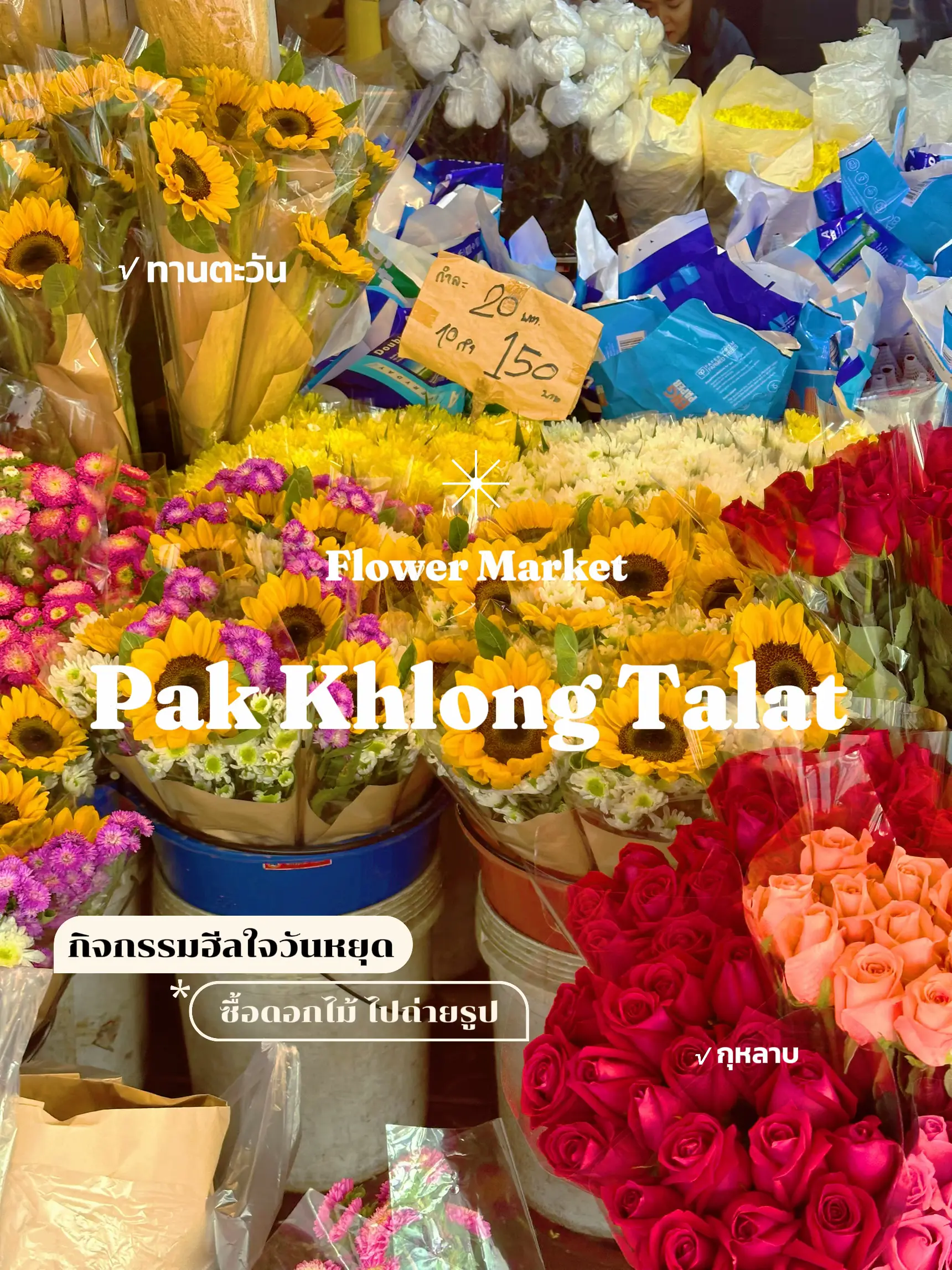 ร้านดอกไม้Dee Dee ดอกไม้สุดเจ๋งที่ปากคลองตลาด🌷 | แกลเลอรีที่โพสต์โดย ...