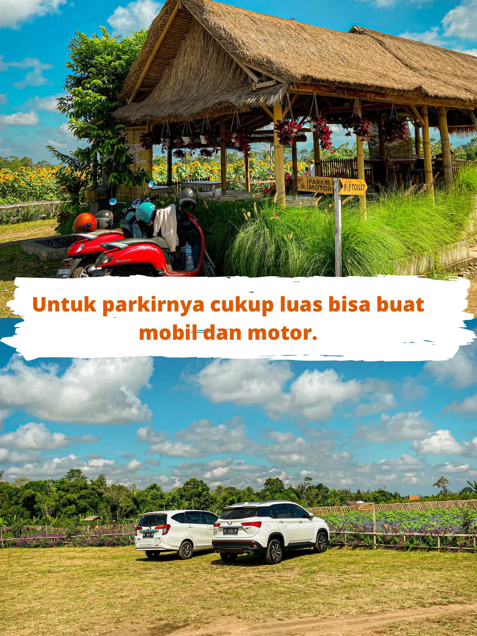 Rekomendasi Taman Bunga di Kintamani Bali 🌺🌼🌷 | Galeri diposting oleh ...