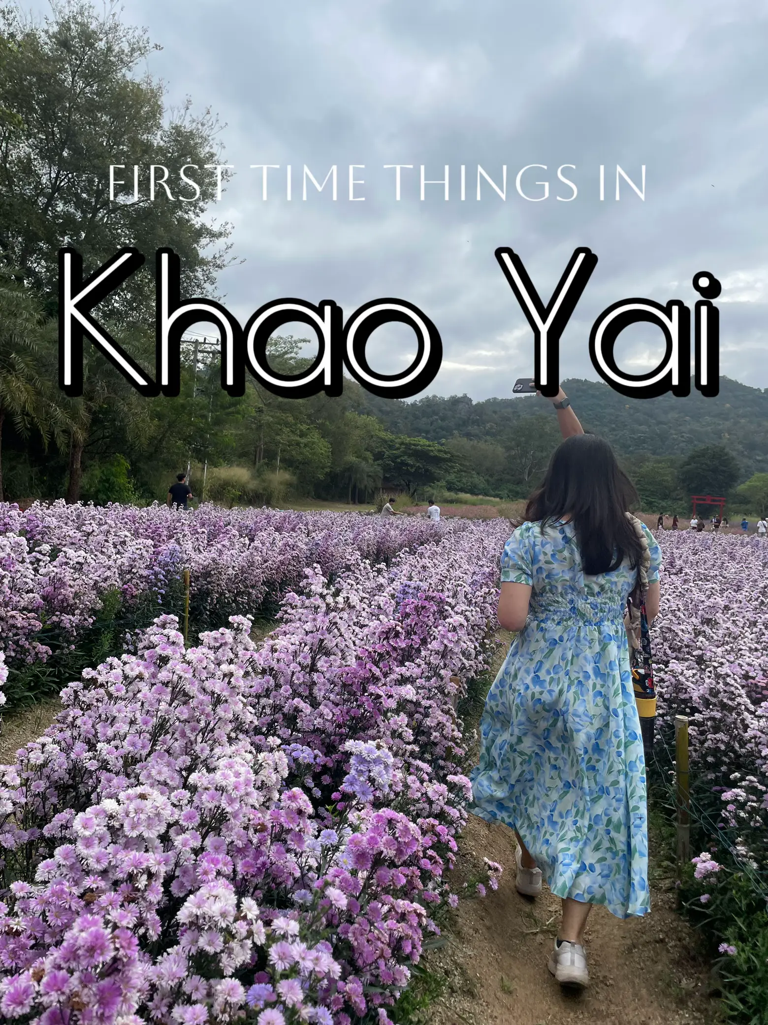 First Time in Khao Yai (Part 1) | Gallery posted by jessinsync | Lemon8