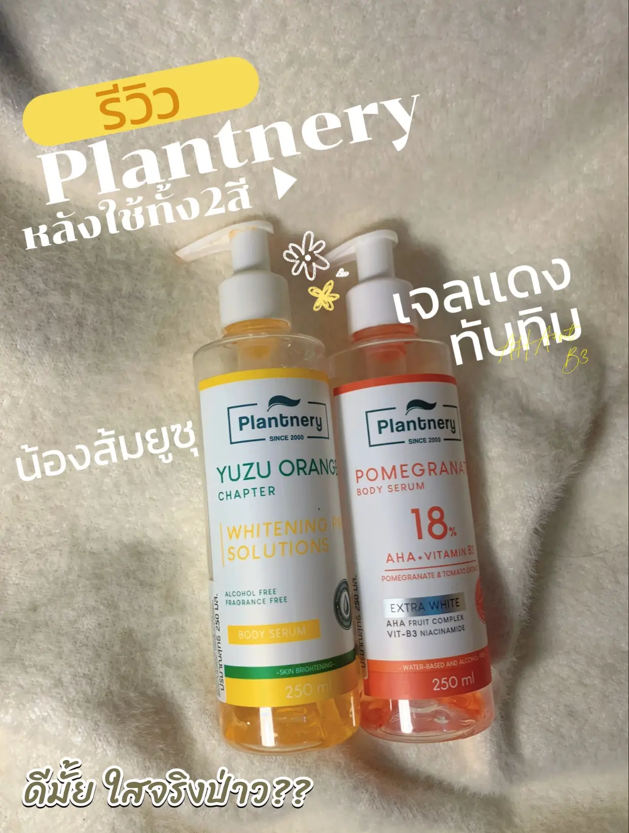 plantnery | แกลเลอรีที่โพสต์โดย AP5 | Lemon8