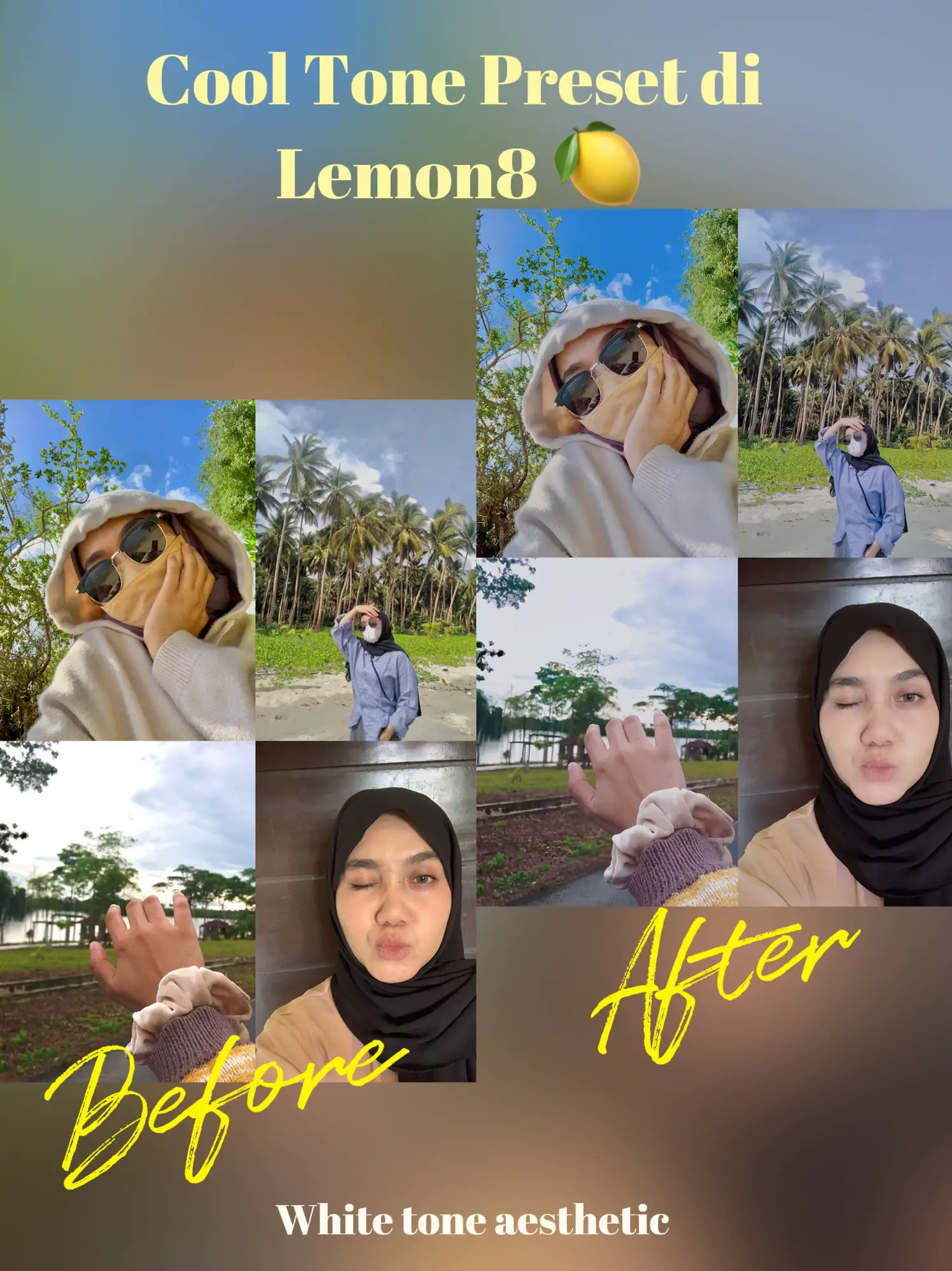 Tutorial Preset Cool Tone di Lemon8 | Galeri diposting oleh 𝒩𝒾𝓇 | Lemon8