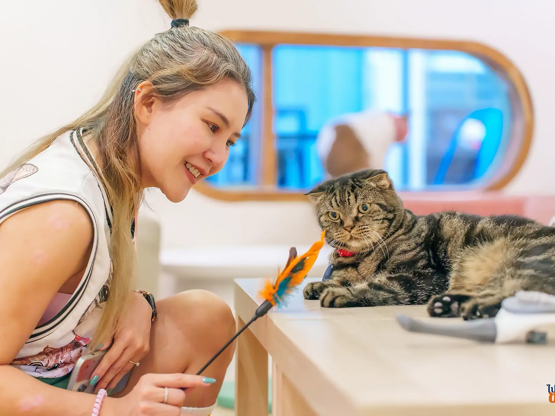 Chill Cat Cafe….สวรรค์ของคนรักแมว😻😻😻 | แกลเลอรีที่โพสต์โดย Jennie ...