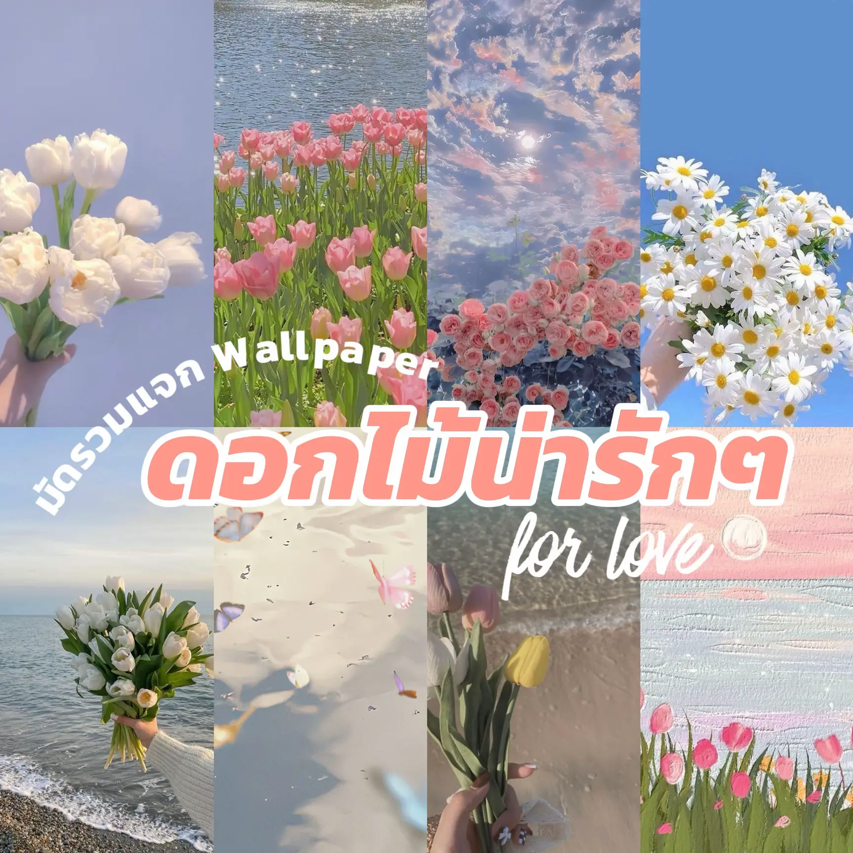 ดอกไม้น่ารักๆ | แกลเลอรีที่โพสต์โดย Royya มารีวิว ~ | Lemon8