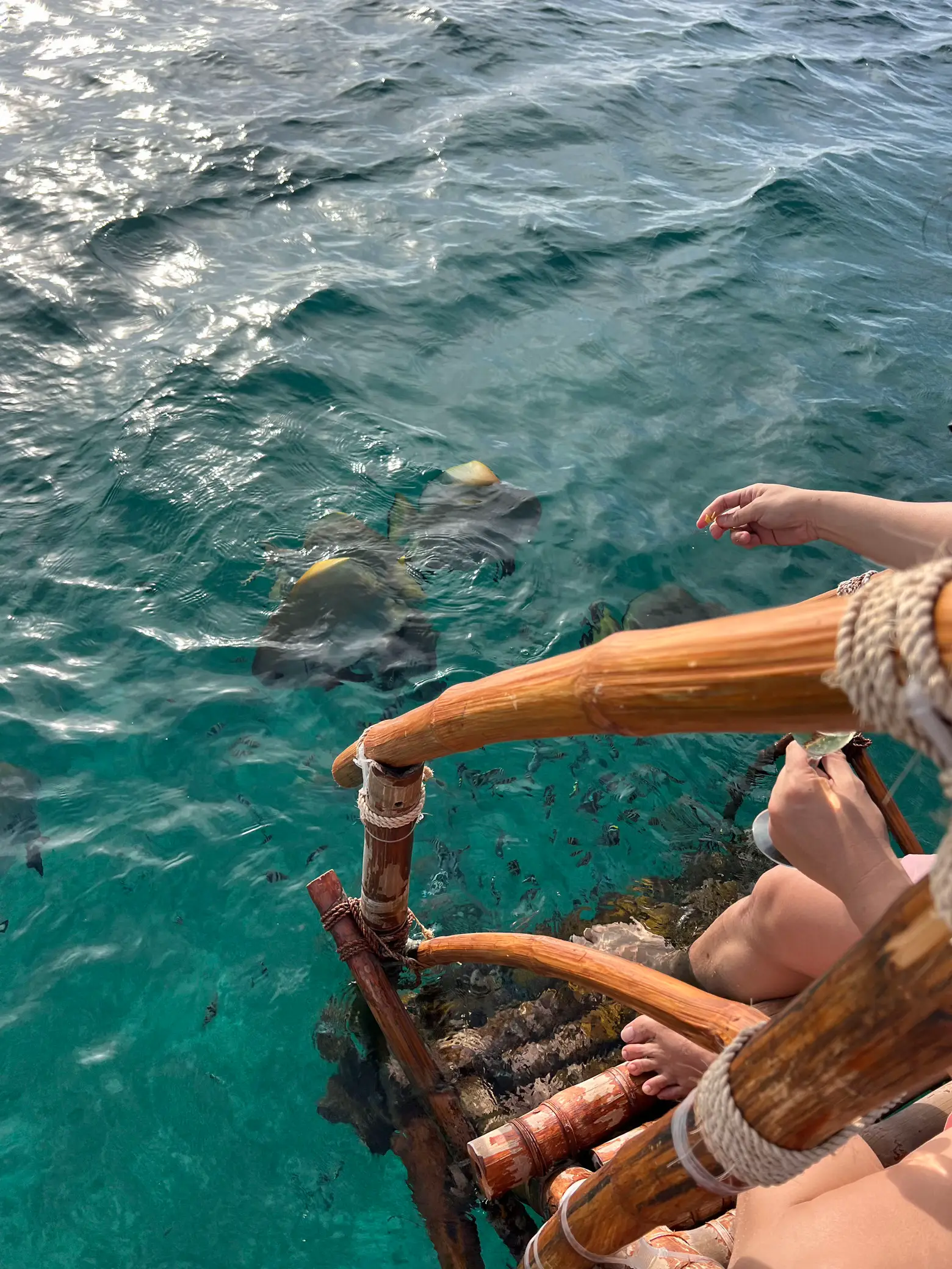 Floating Bamboo Raft in the Middle of the Sea Amanpulo | Gallery posted ...