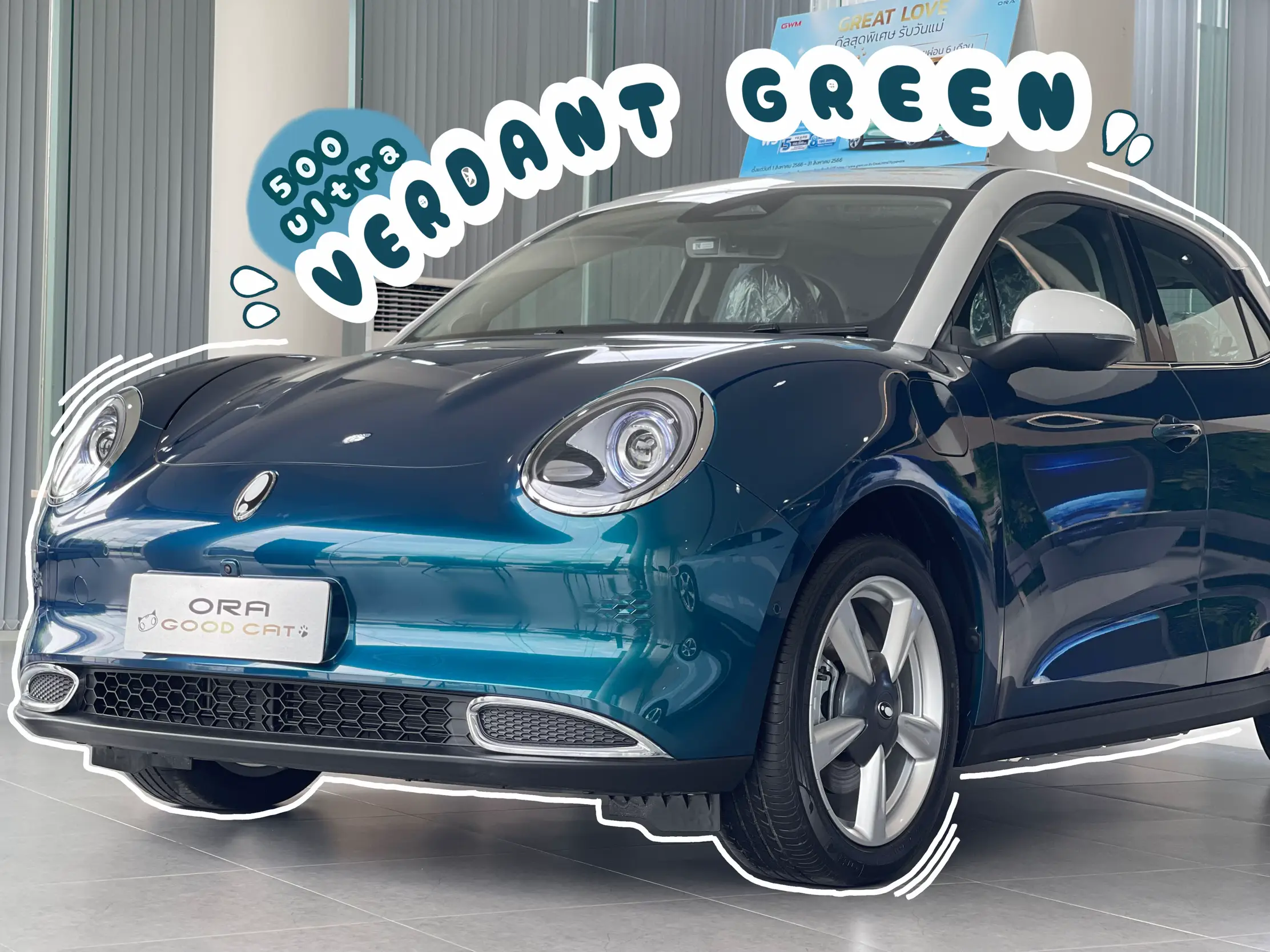 ORA GOOD CAT 😍😍 คุ้มมากกก | แกลเลอรีที่โพสต์โดย เจ้าน้อง | Lemon8