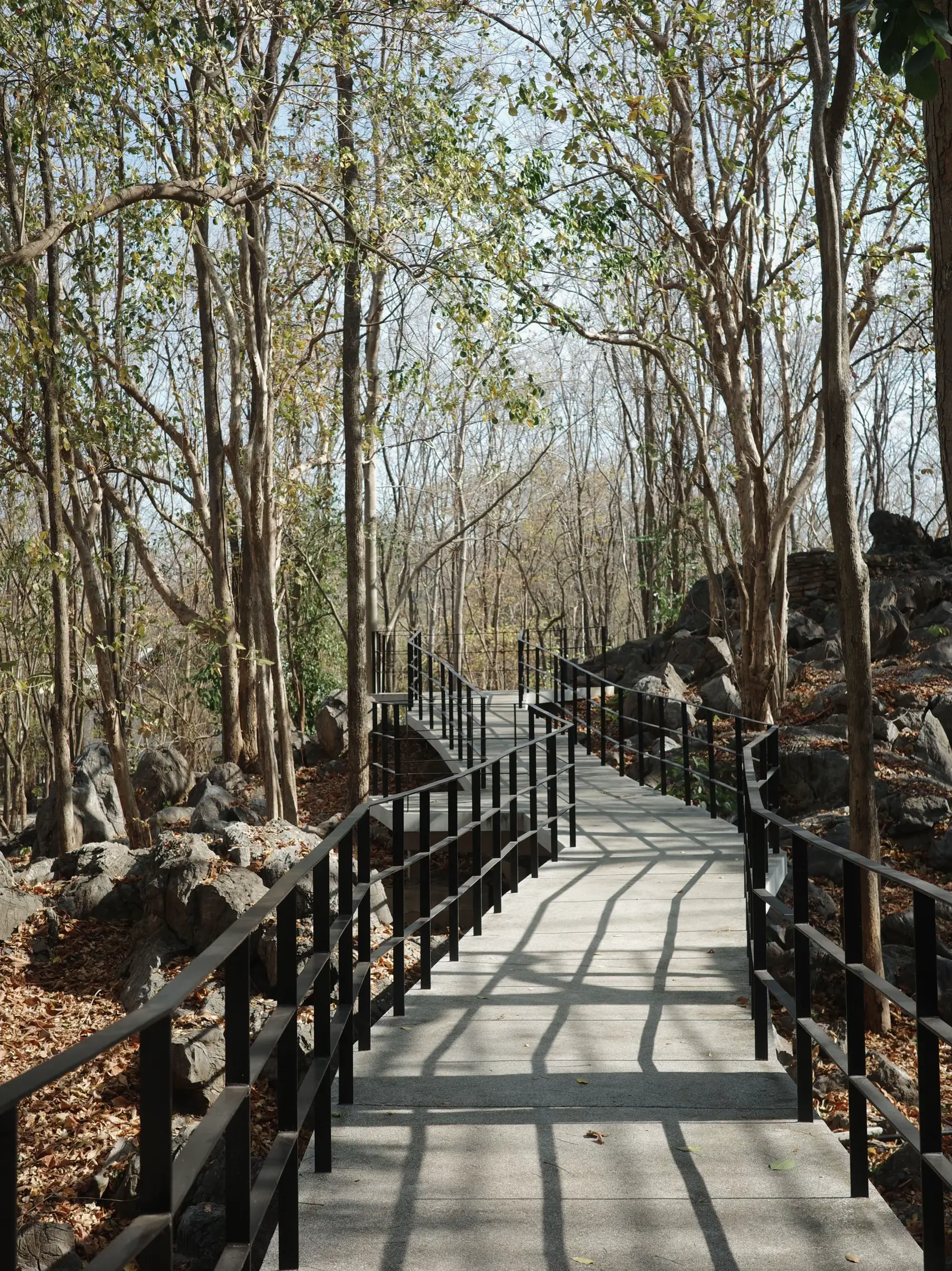 Ravenscale Khaoyai: คาเฟ่โมเดิร์นสุดชิคในธรรมชาติ🌳⛰️ | แกลเลอรีที่โพสต์ ...