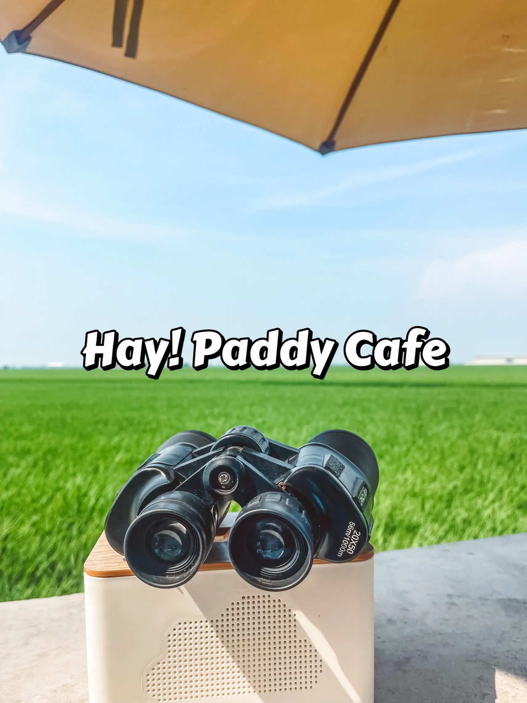 📍Hay! Paddy Cafe, Sekinchan | Galeri disiarkan oleh Shadada | Lemon8