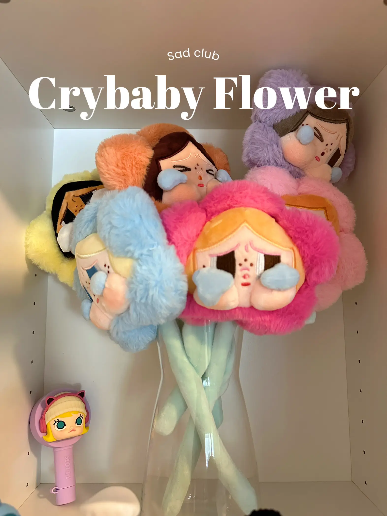 Cry Baby Flower | แกลเลอรีที่โพสต์โดย PLOYJAI・ᴥ・ | Lemon8