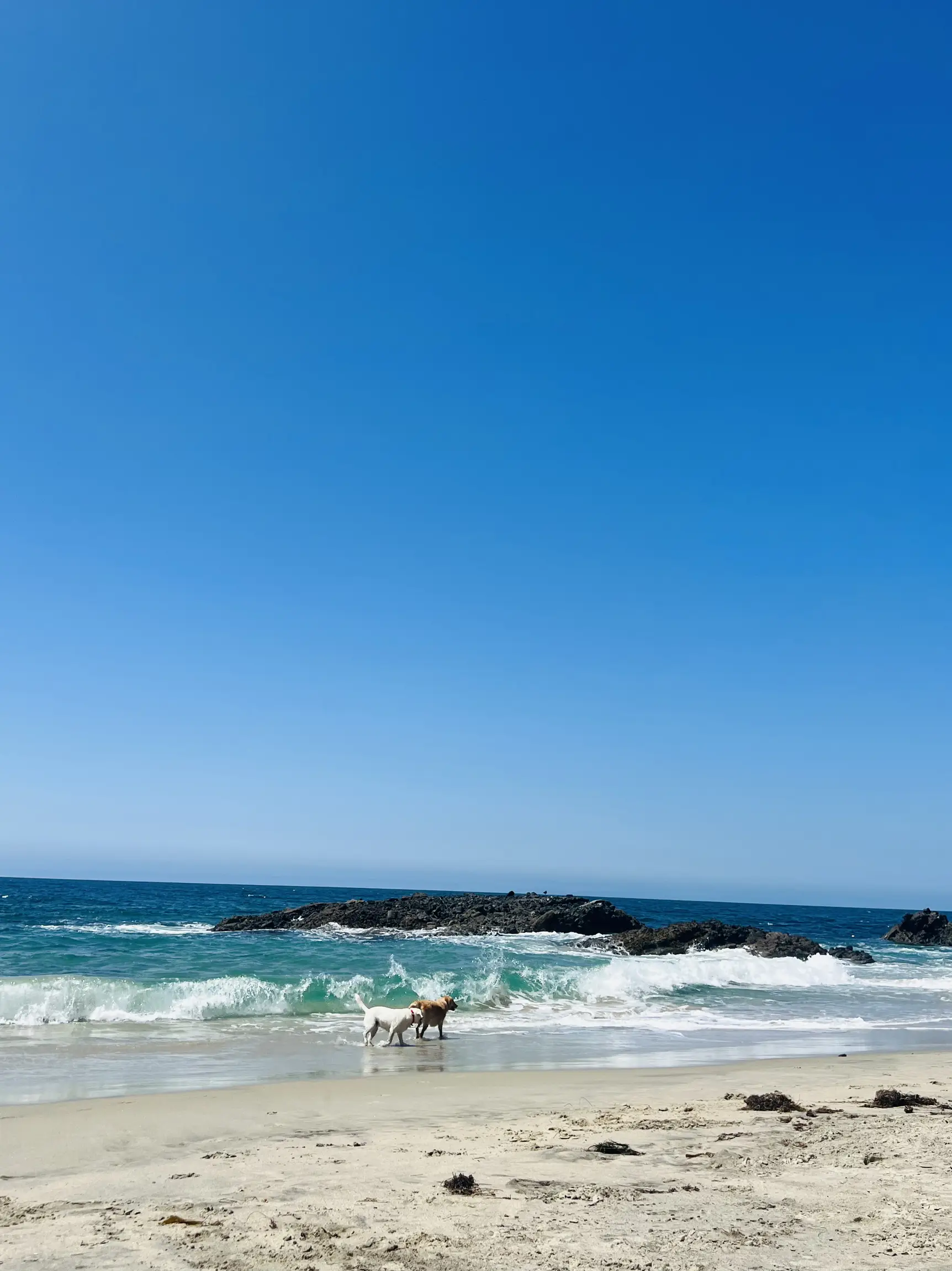 Wanna Vibe Guava Beach Like In The Series Must Go Laguna Beach ...