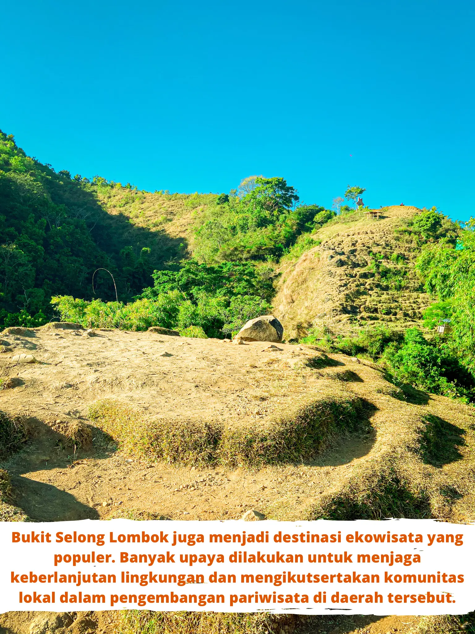 Main-Main di Bukit Selong Sembalun Lombok 🍀 | แกลเลอรีที่โพสต์โดย andre.simsek | Lemon8