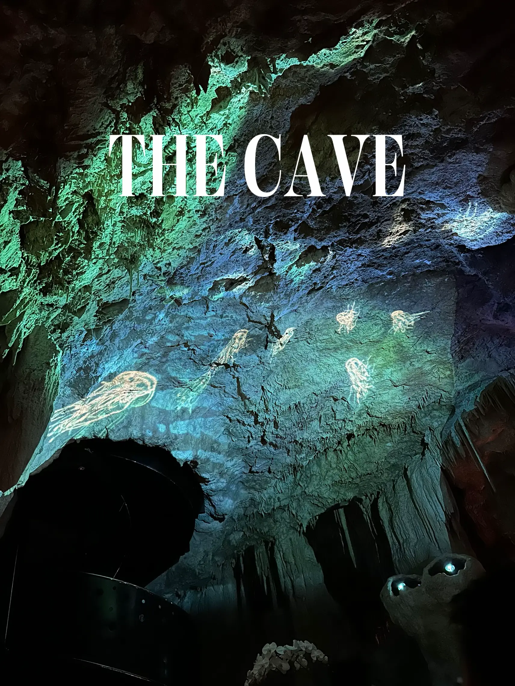 THE CAVE | Gallery posted by Rachwsj | Lemon8