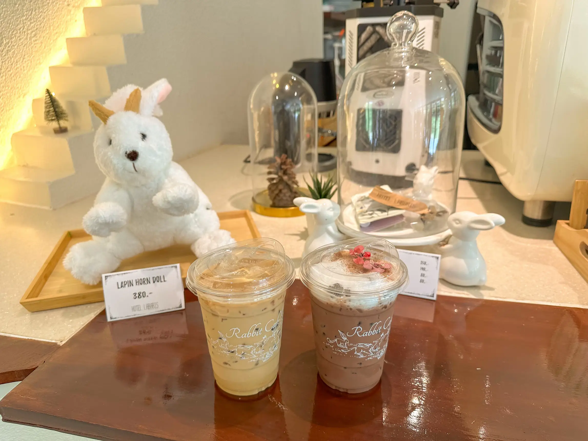 Rabbit Cafe คาเฟ่โพรงกระต่ายเขาใหญ่ 🐰💕 | แกลเลอรีที่โพสต์โดย C•K ...