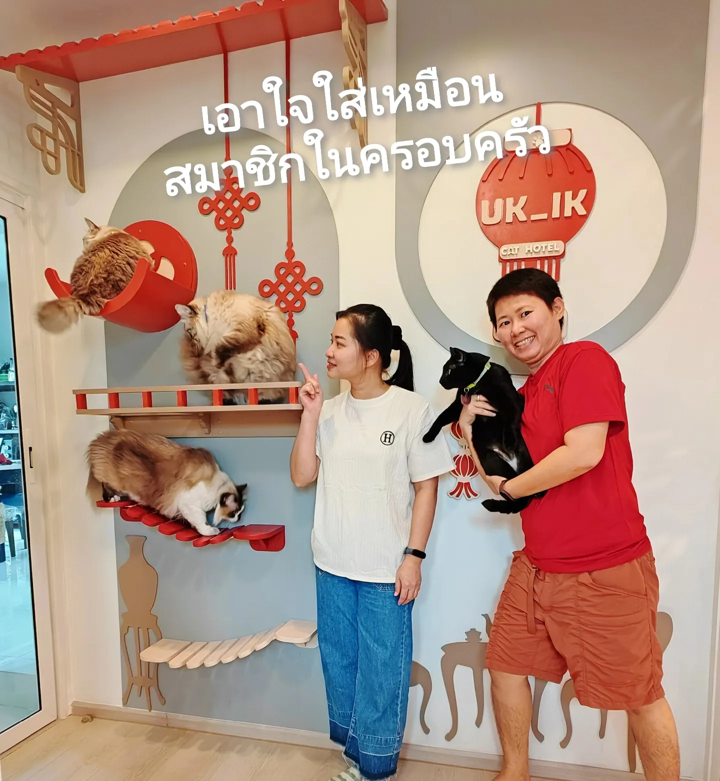 โรงแรมแมวอุคอิค Uk_Ik Cat Hotel 猫酒店 | แกลเลอรีที่โพสต์โดย Takashi Judo ...