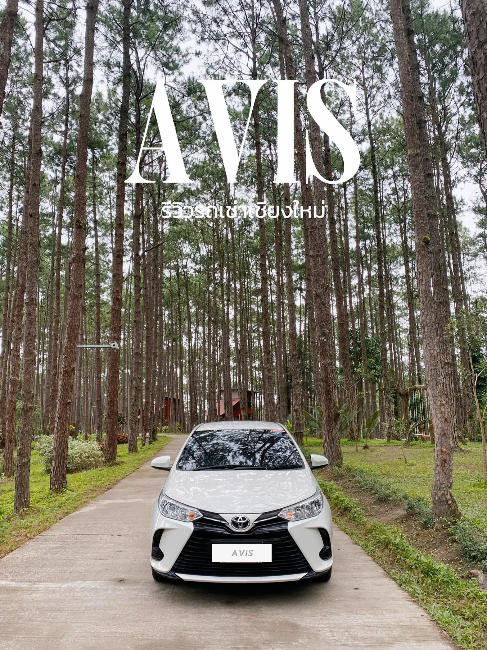 รีวิวรถเช่าเชียงใหม่ขับเองกับบริษัท AVIS 🚗 | แกลเลอรีที่โพสต์โดย ArrayeeJourney🌷 | Lemon8