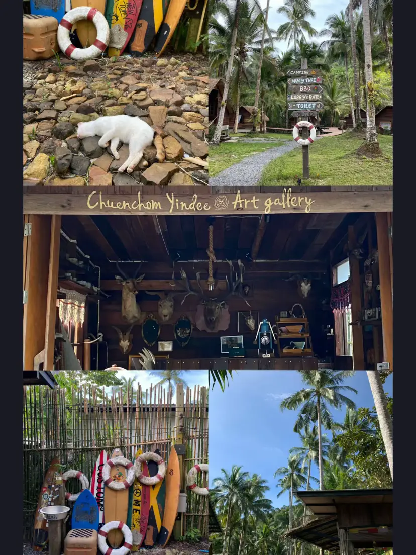 เกาะกูด 3วัน 2คืน กับ Coco camping kohkood 🌴🥥🌺🌤️ | แกลเลอรีที่โพสต์โดย ...