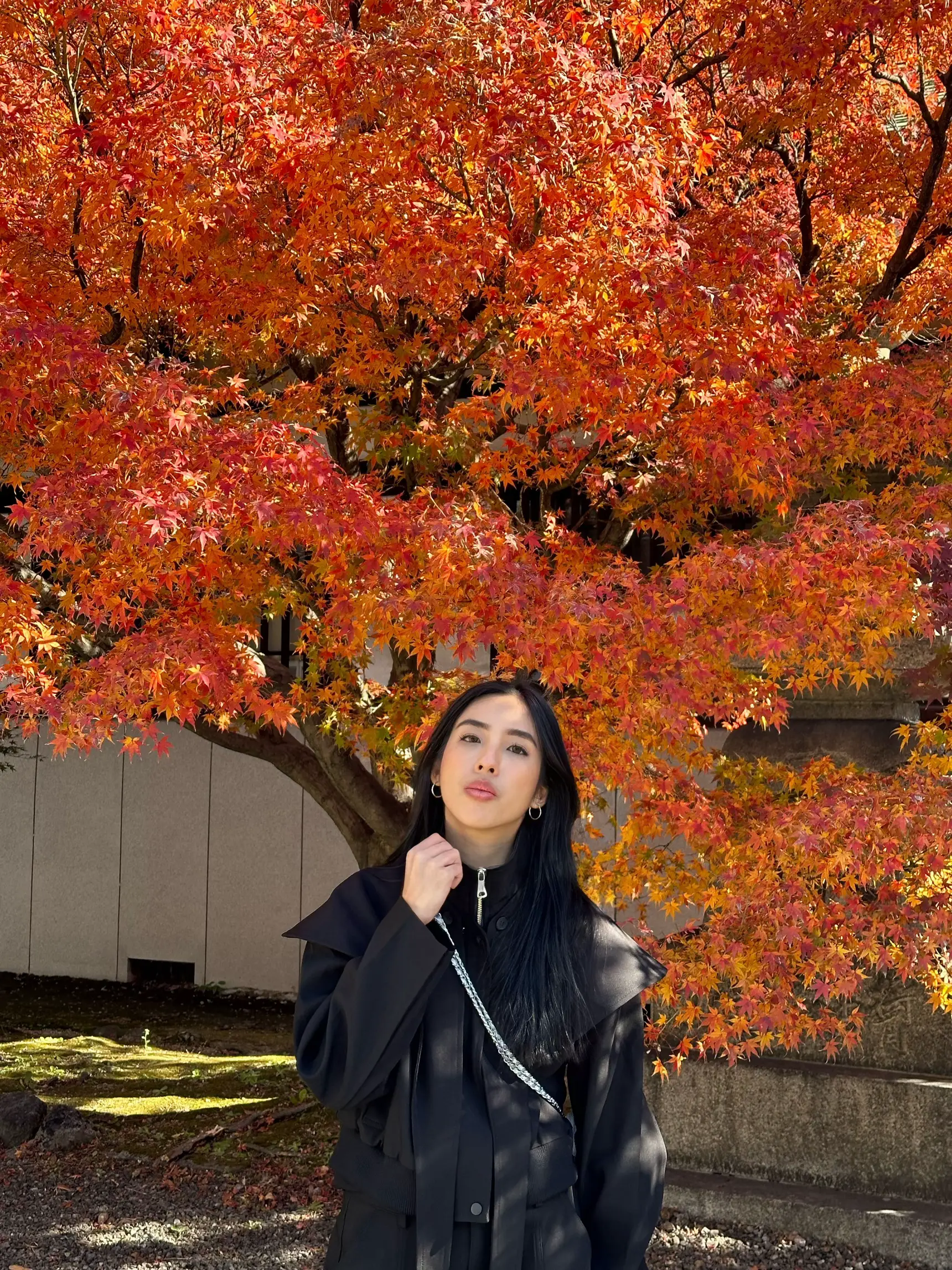🇯🇵 Osaka Trip | 4 Styles ช่วงเดือนธันวา แต่งตัวไปเที่ยวกัน! | แกลเลอรี ...