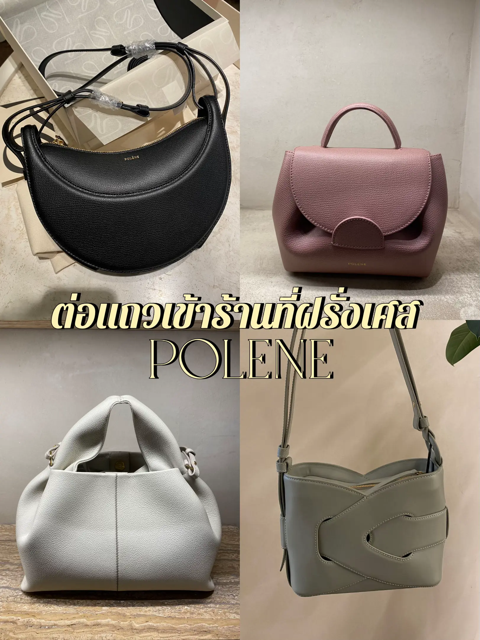 Polene korea - การค้นหาใน Lemon8