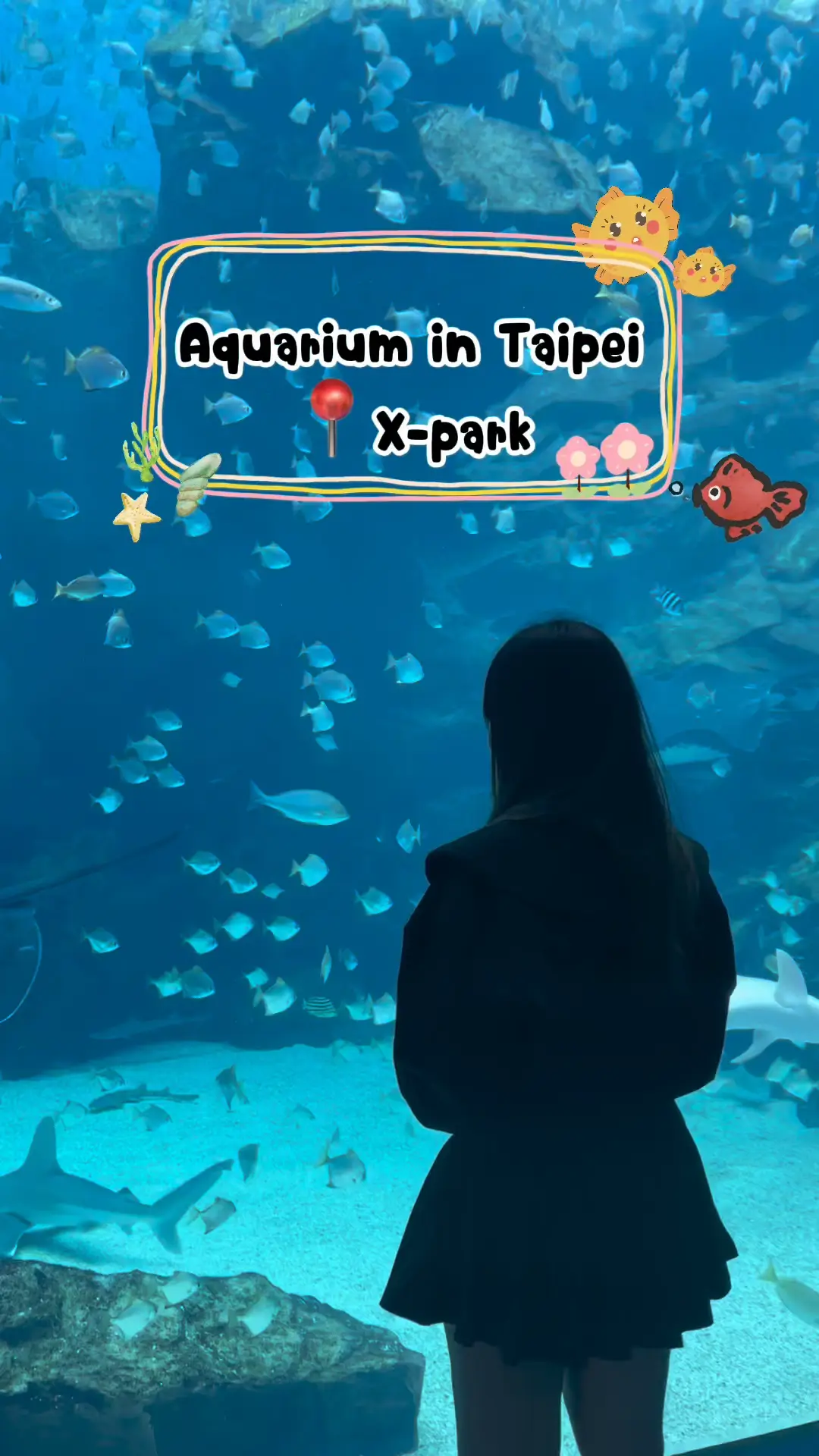 X-park ห้ามพลาดอควาเลี่ยมใกล้สนามบินไต้หวัน🐠🌊 | วิดีโอที่เผยแพร่โดย Porph | Lemon8
