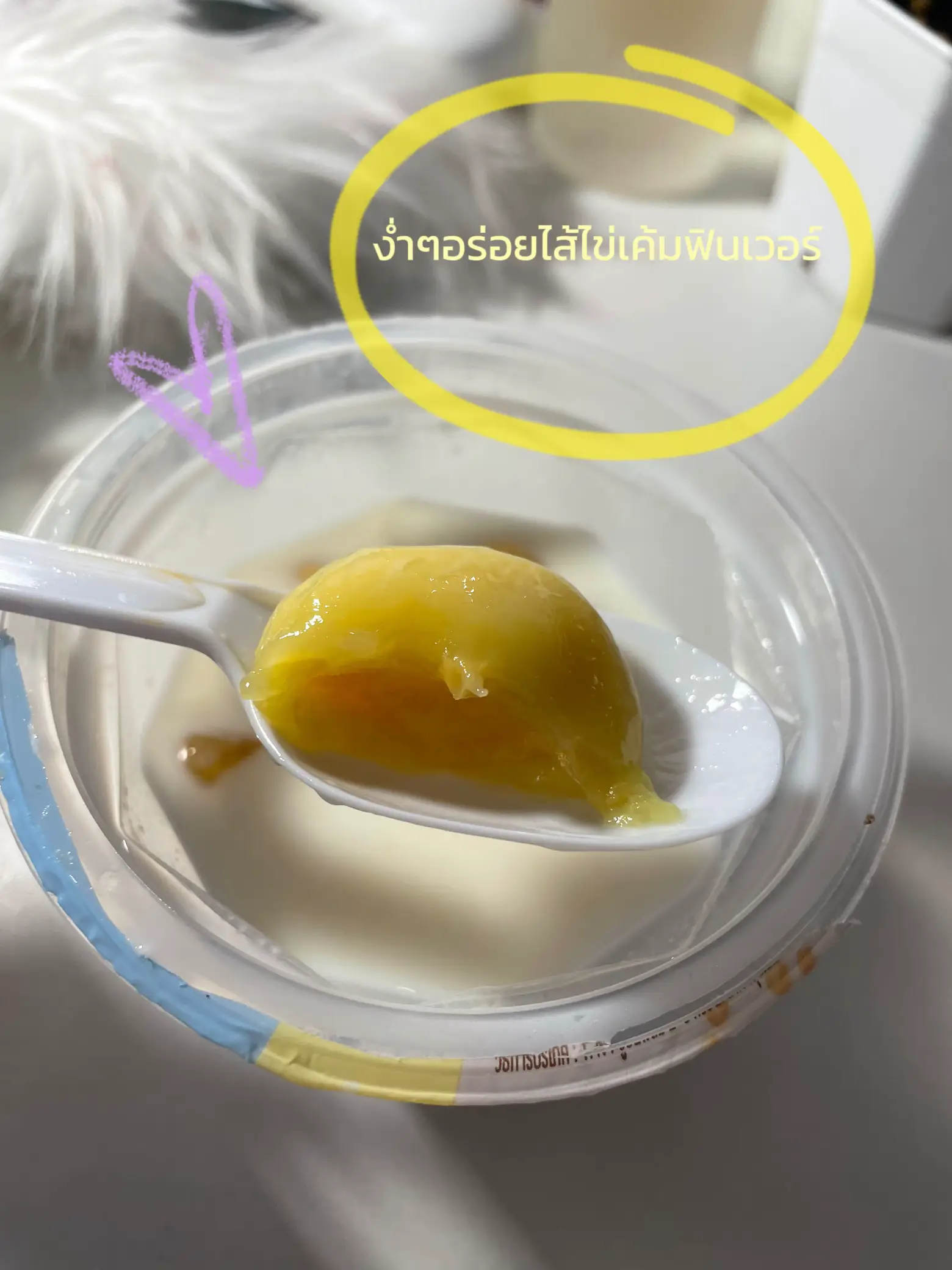 ไข่มุกในน้ำนม | แกลเลอรีที่โพสต์โดย Patty_P | Lemon8