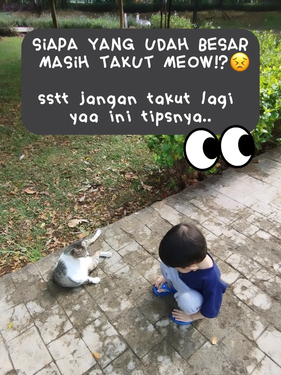 SIAPA YANG UDAH BESAR MASIH TAKUT MEOW!?😣sstt jang | Galeri diposting oleh Dinda Cyntia 🎀 | Lemon8