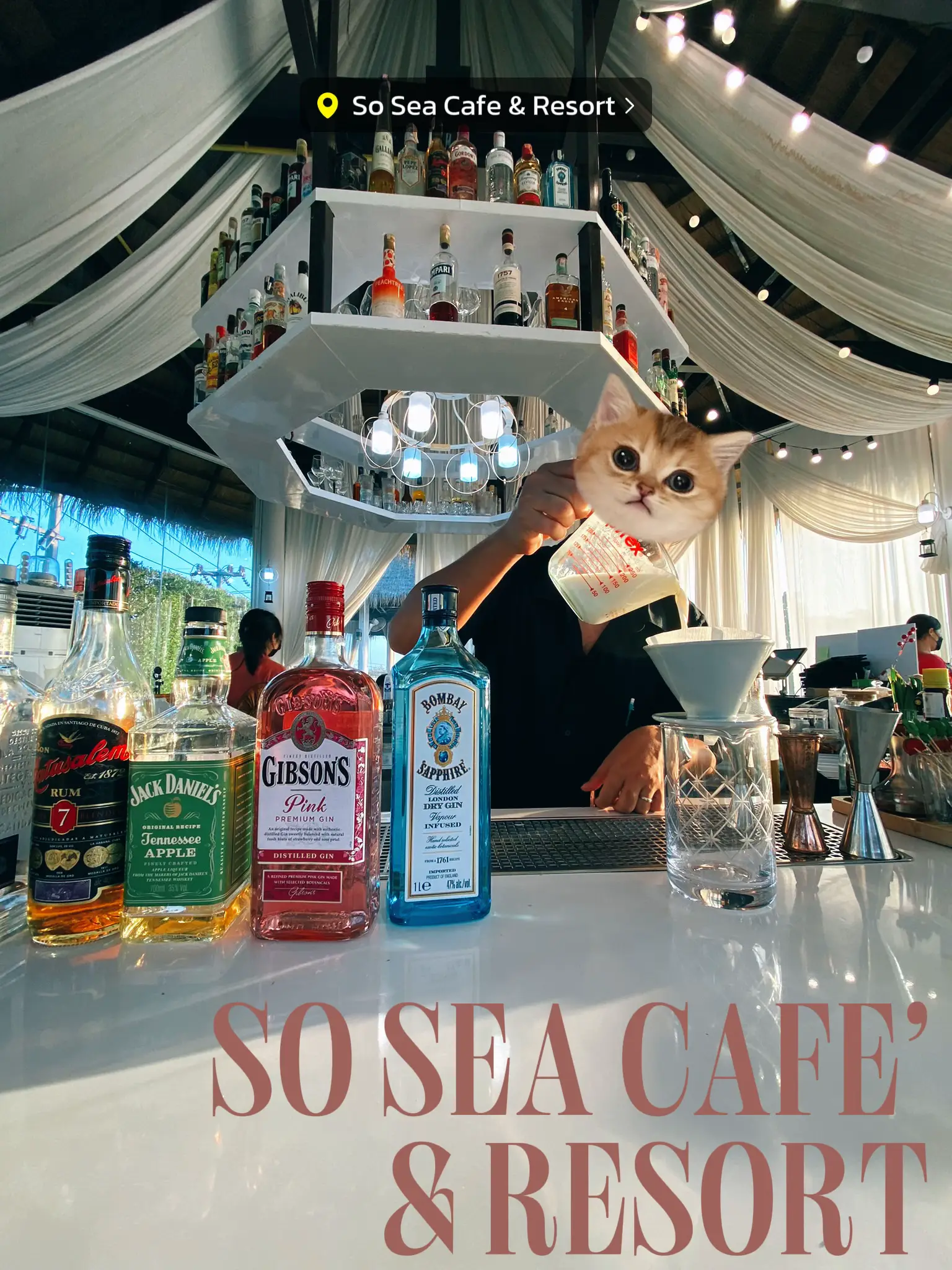 So sea cafe & resort ค็อกเทล+วิวทะเล ชลบุรี เข้ากันไม่ไหว | แกลเลอรีที่ ...