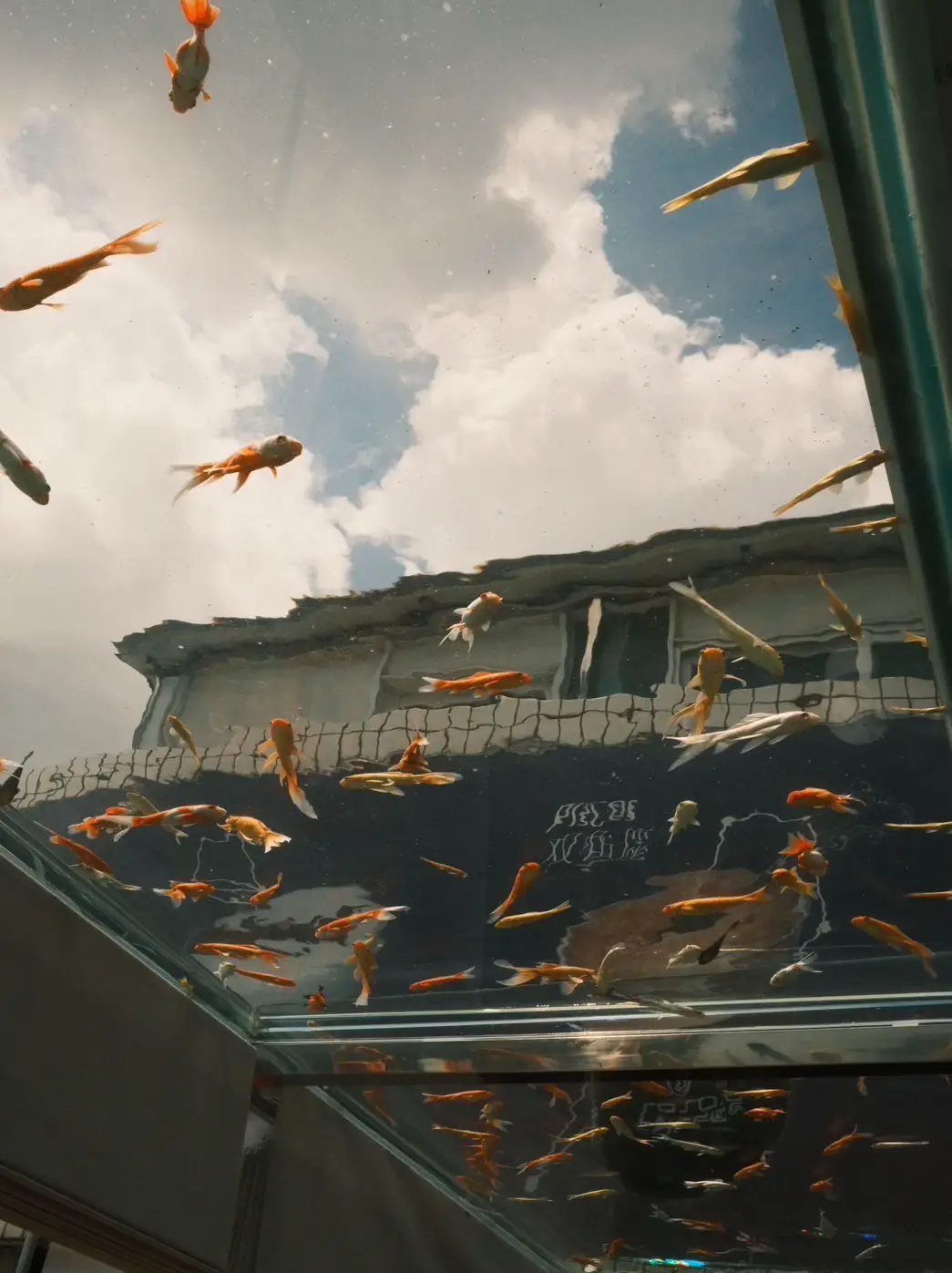 @sosoi. coffee in Guangzhou | แกลเลอรีที่โพสต์โดย เพจ น้องนี | Lemon8