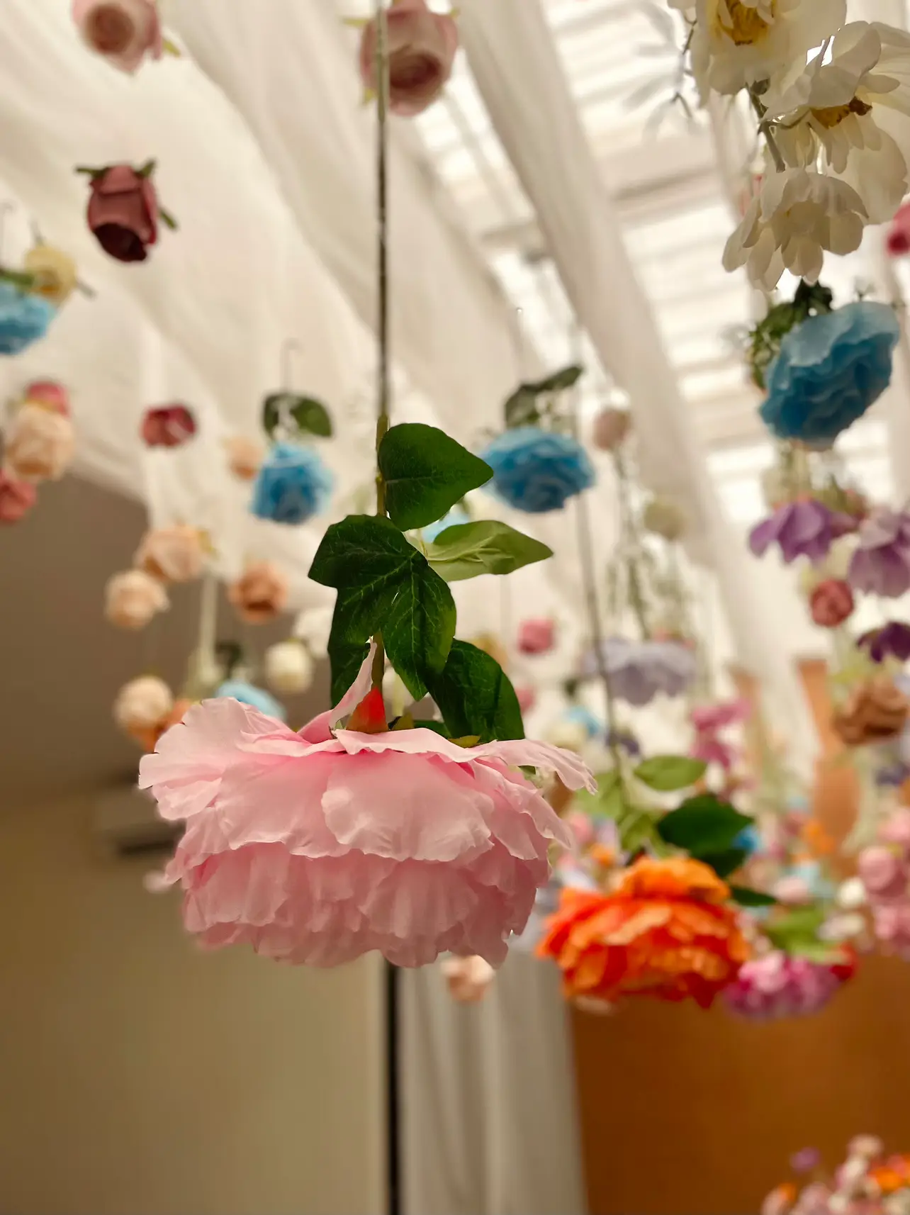 Sicha‘s cafe คาเฟ่มุมสวยเพียบ | แกลเลอรีที่โพสต์โดย KW | Lemon8