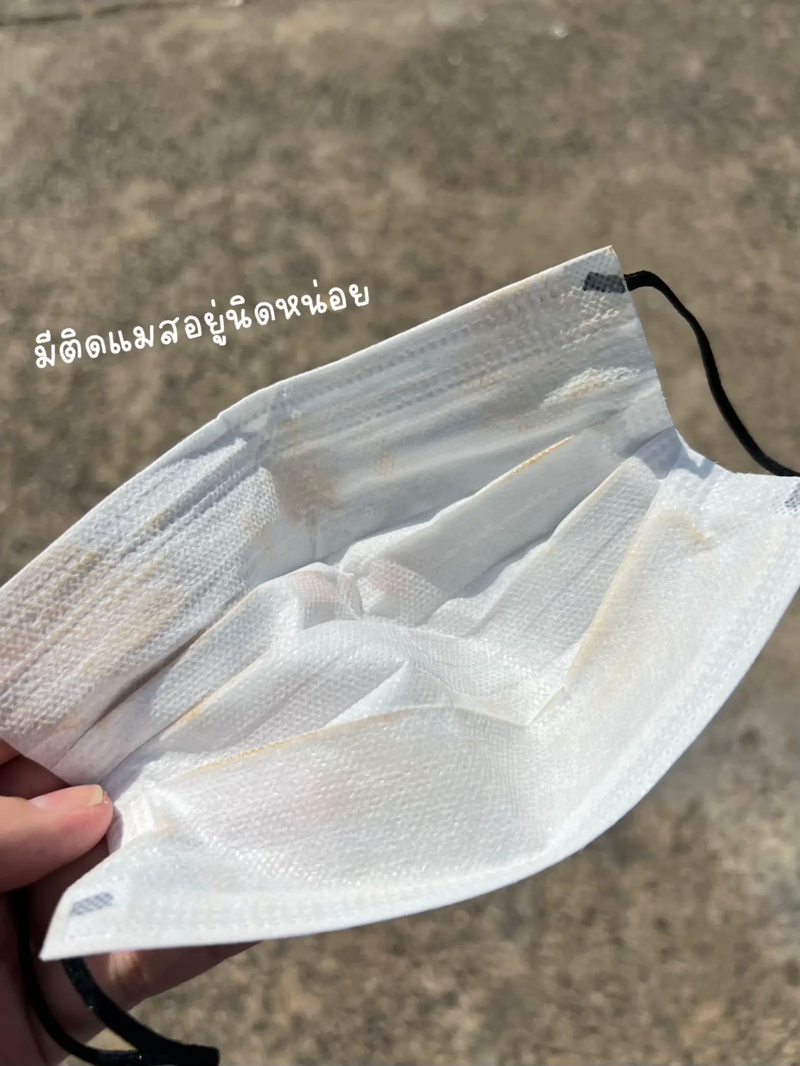 รีวิว cathy doll cc cream สีม่วง | แกลเลอรีที่โพสต์โดย oohhero | Lemon8